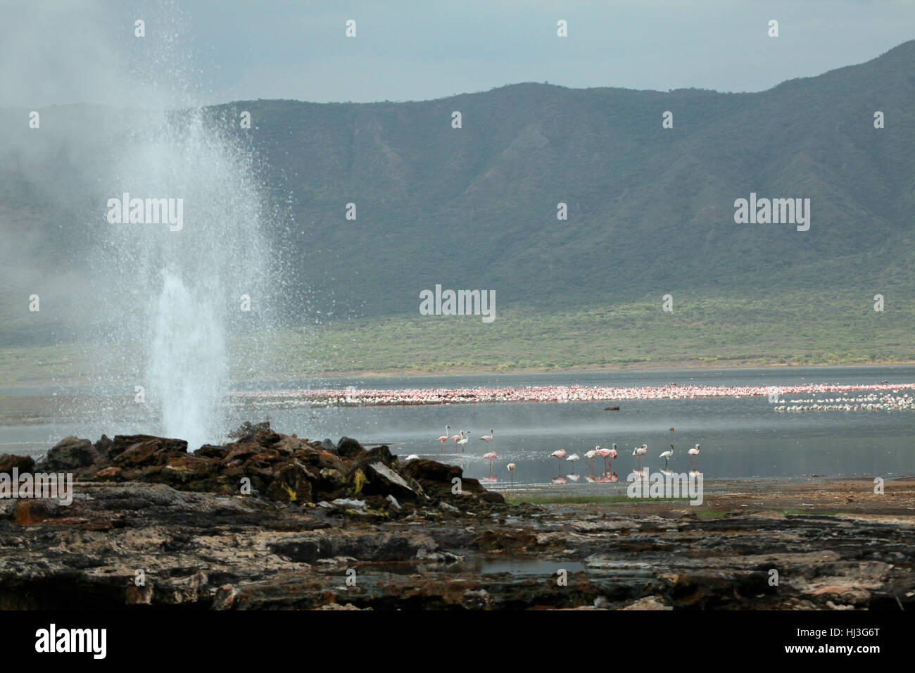 geyser lake bogoria Stock Photo - Alamy