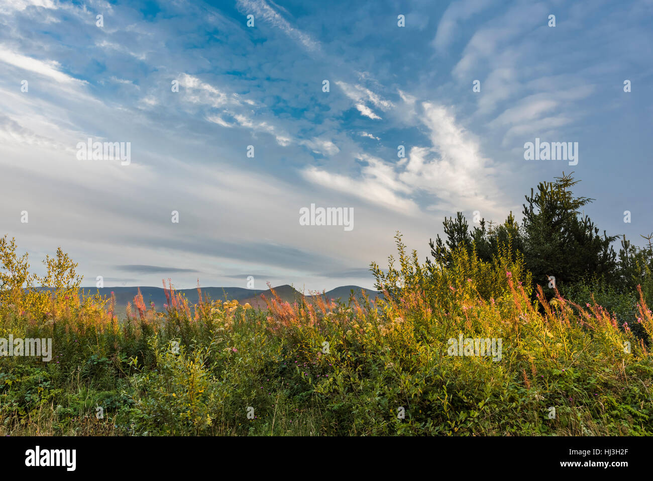 Galtee mountains county tipperary ireland hi-res stock photography and ...