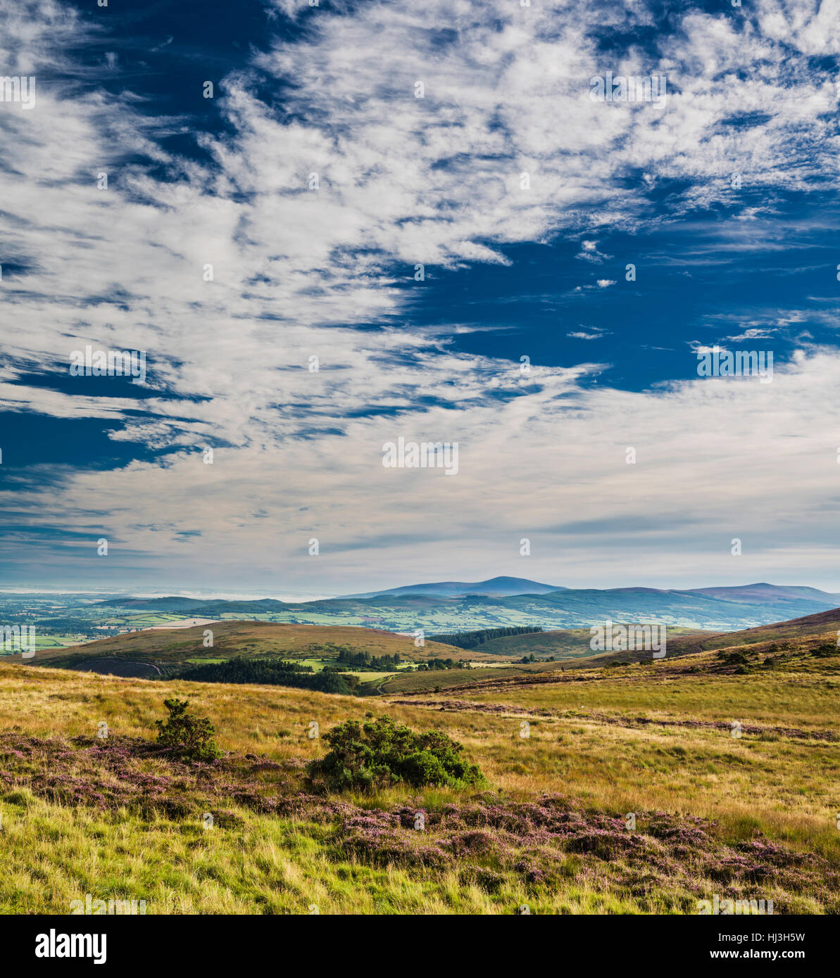 Golden vale county tipperary ireland hi-res stock photography and ...