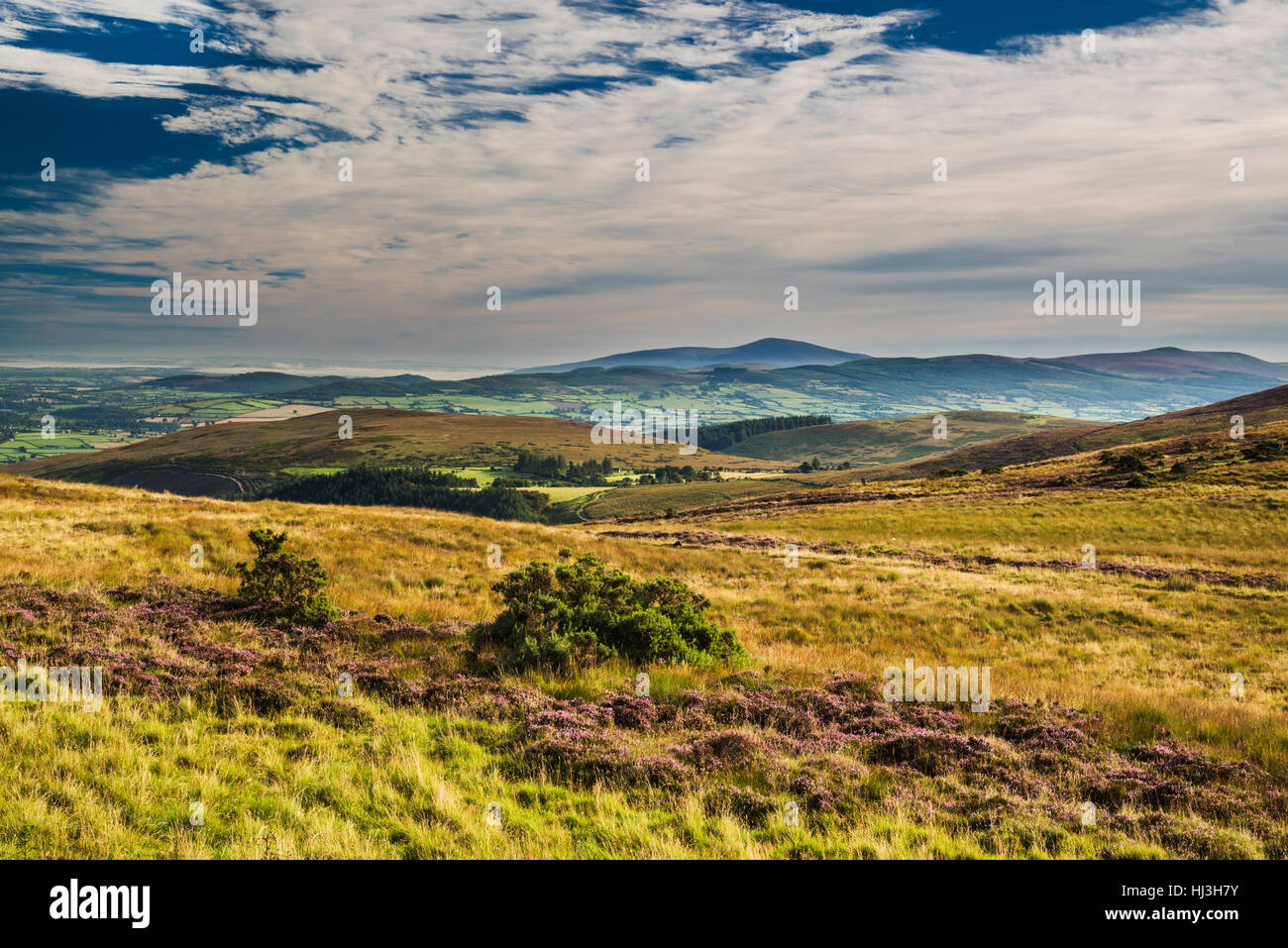 Golden vale county tipperary ireland hi-res stock photography and ...