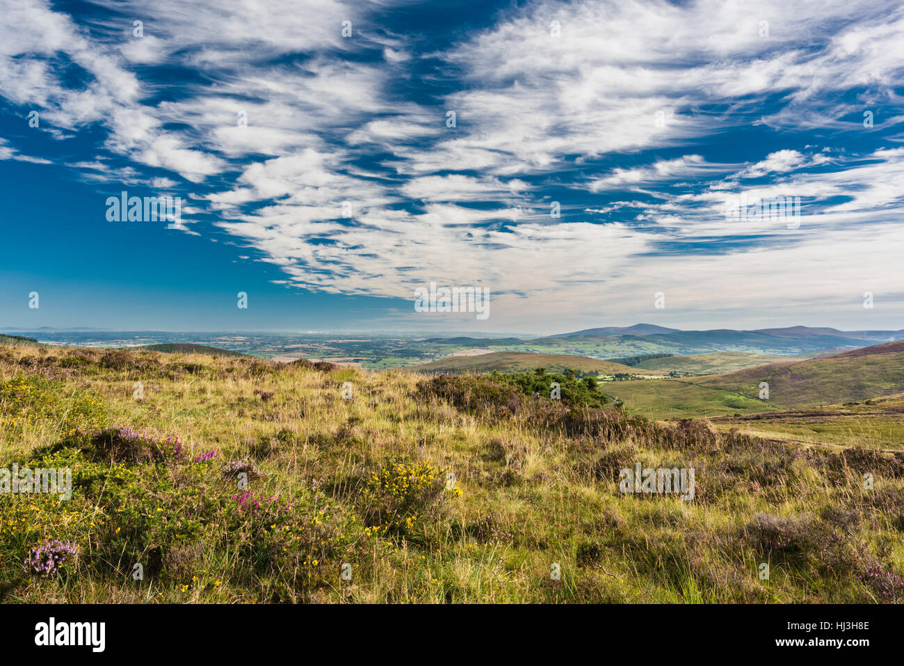 Golden vale county tipperary ireland hi-res stock photography and ...