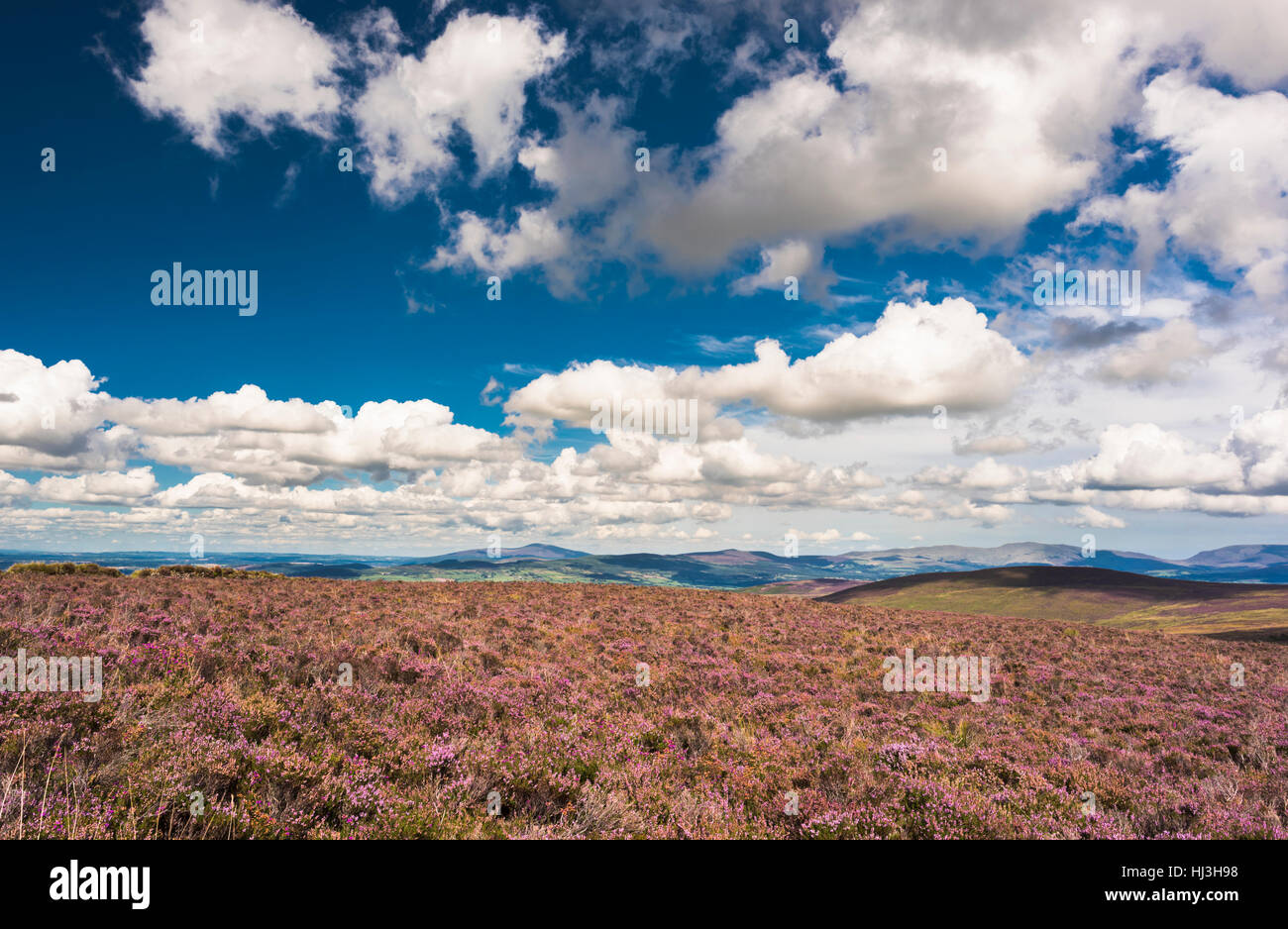 Slievenamon High Resolution Stock Photography and Images - Alamy