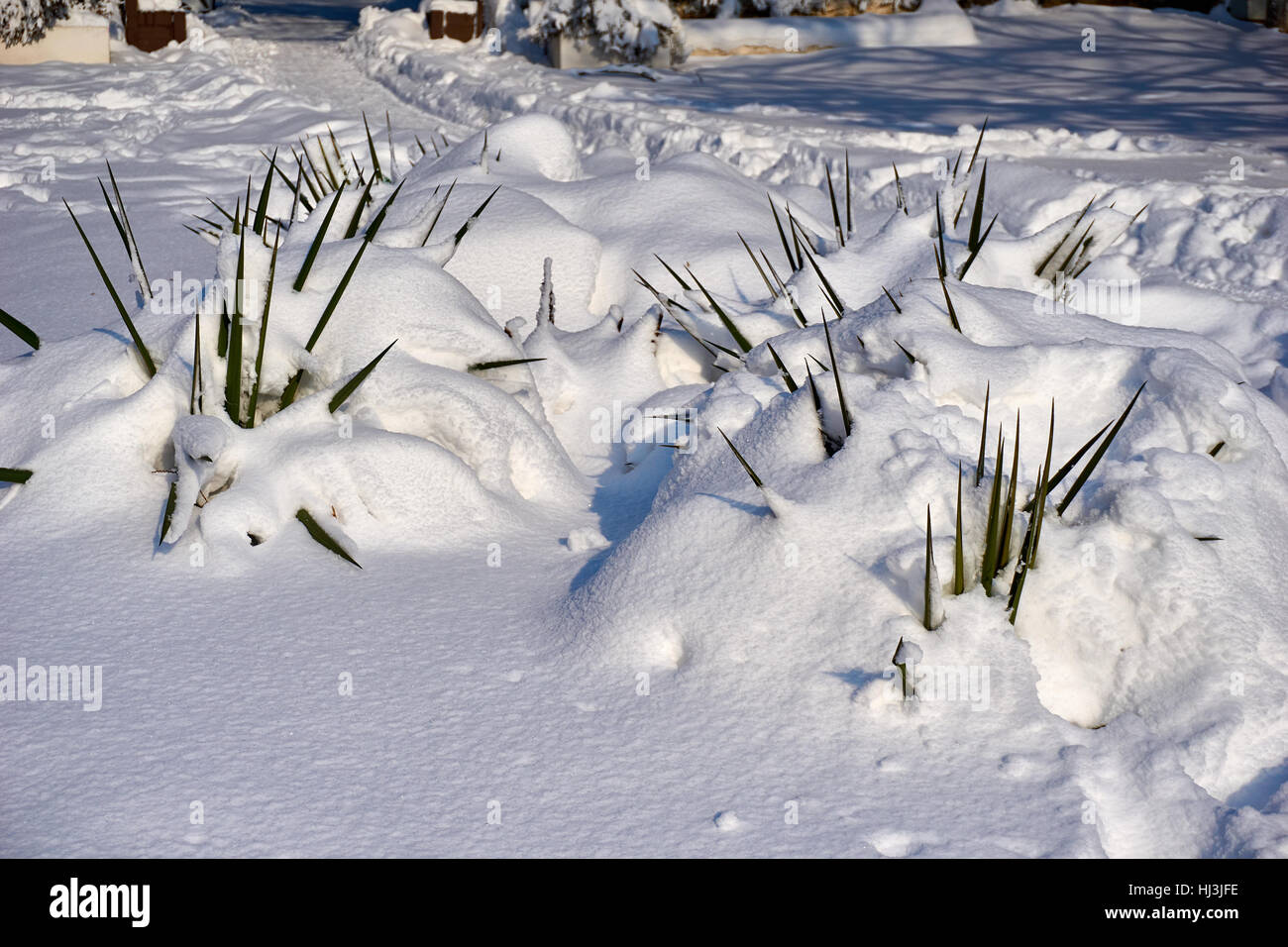 Winter scenes with happy kids and amazing pure nature beauty of snow ...