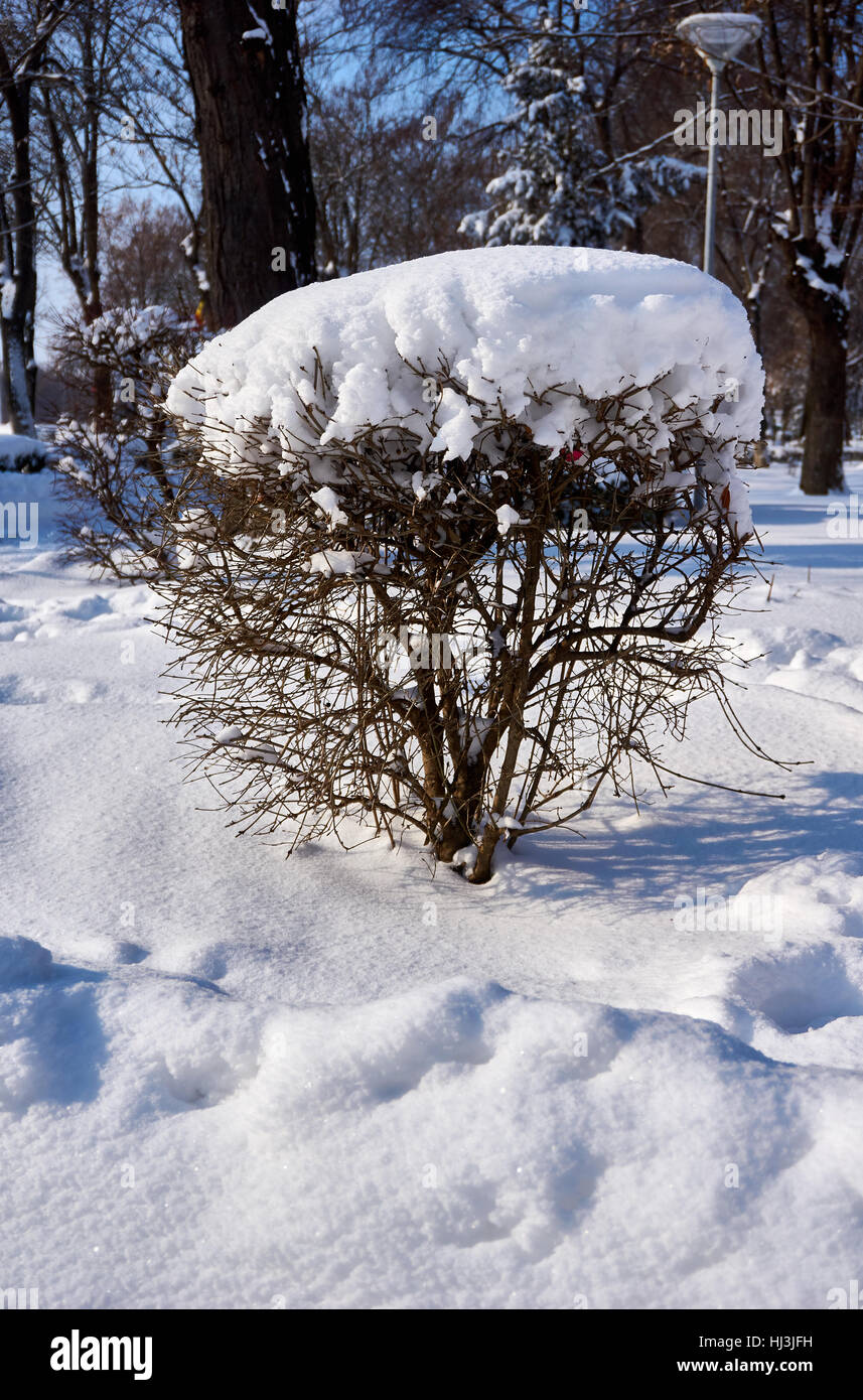 Winter scenes with happy kids and amazing pure nature beauty of snow ...