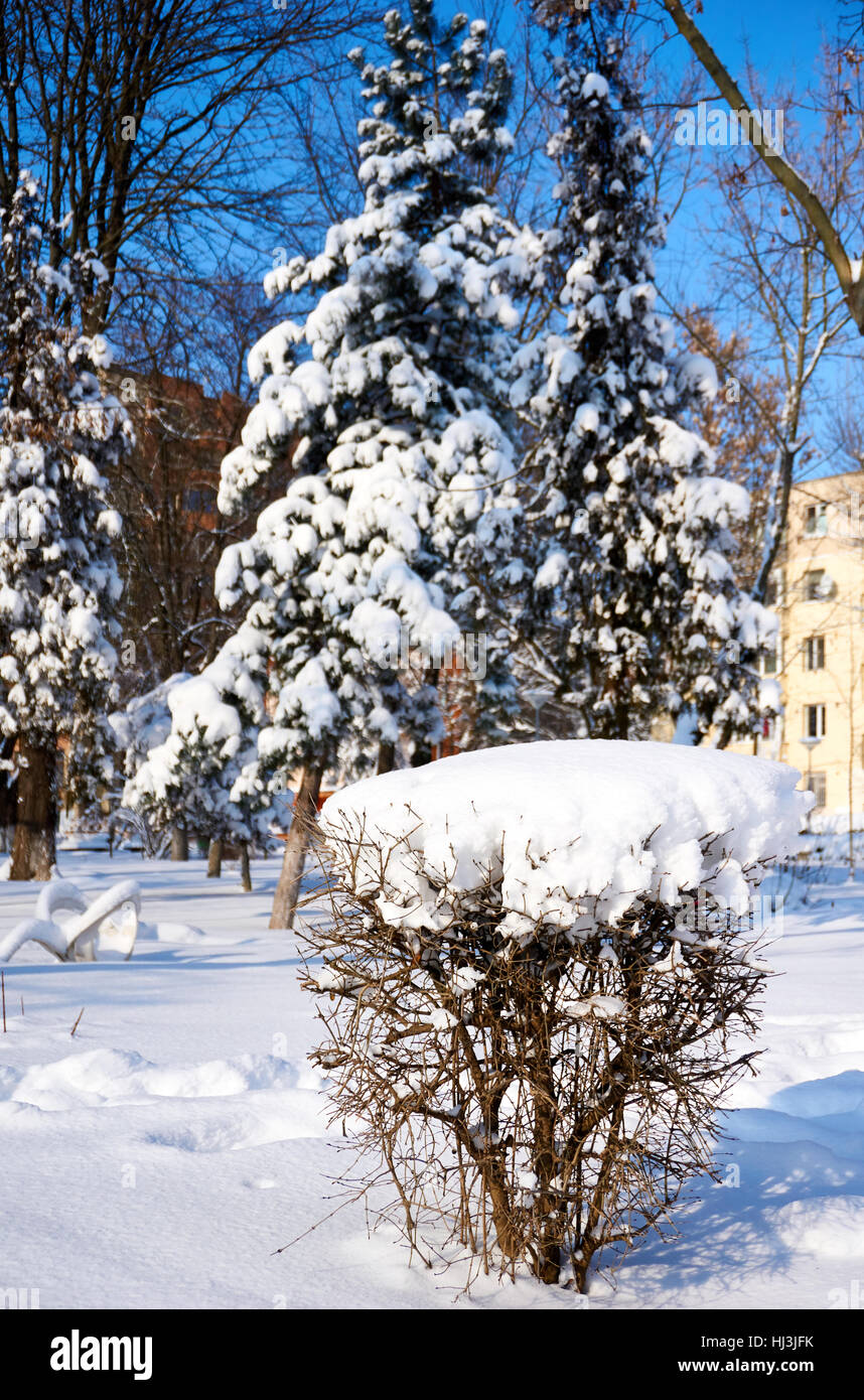 Winter scenes with happy kids and amazing pure nature beauty of snow ...