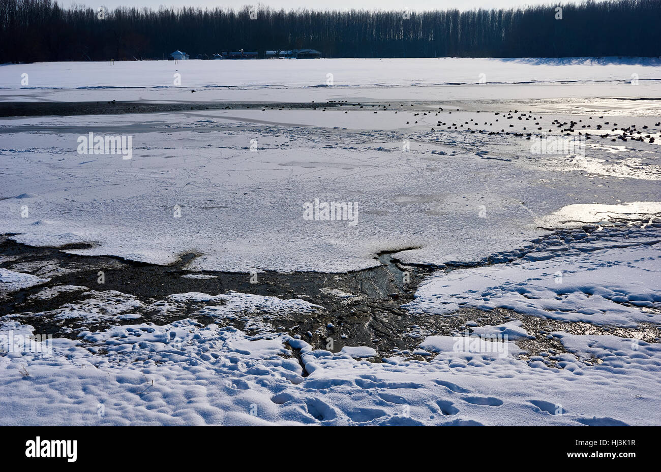 Winter scenes with happy kids and amazing pure nature beauty of snow ...