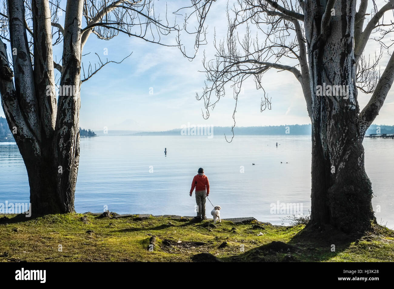 Seattle lake washington walk hi-res stock photography and images - Alamy