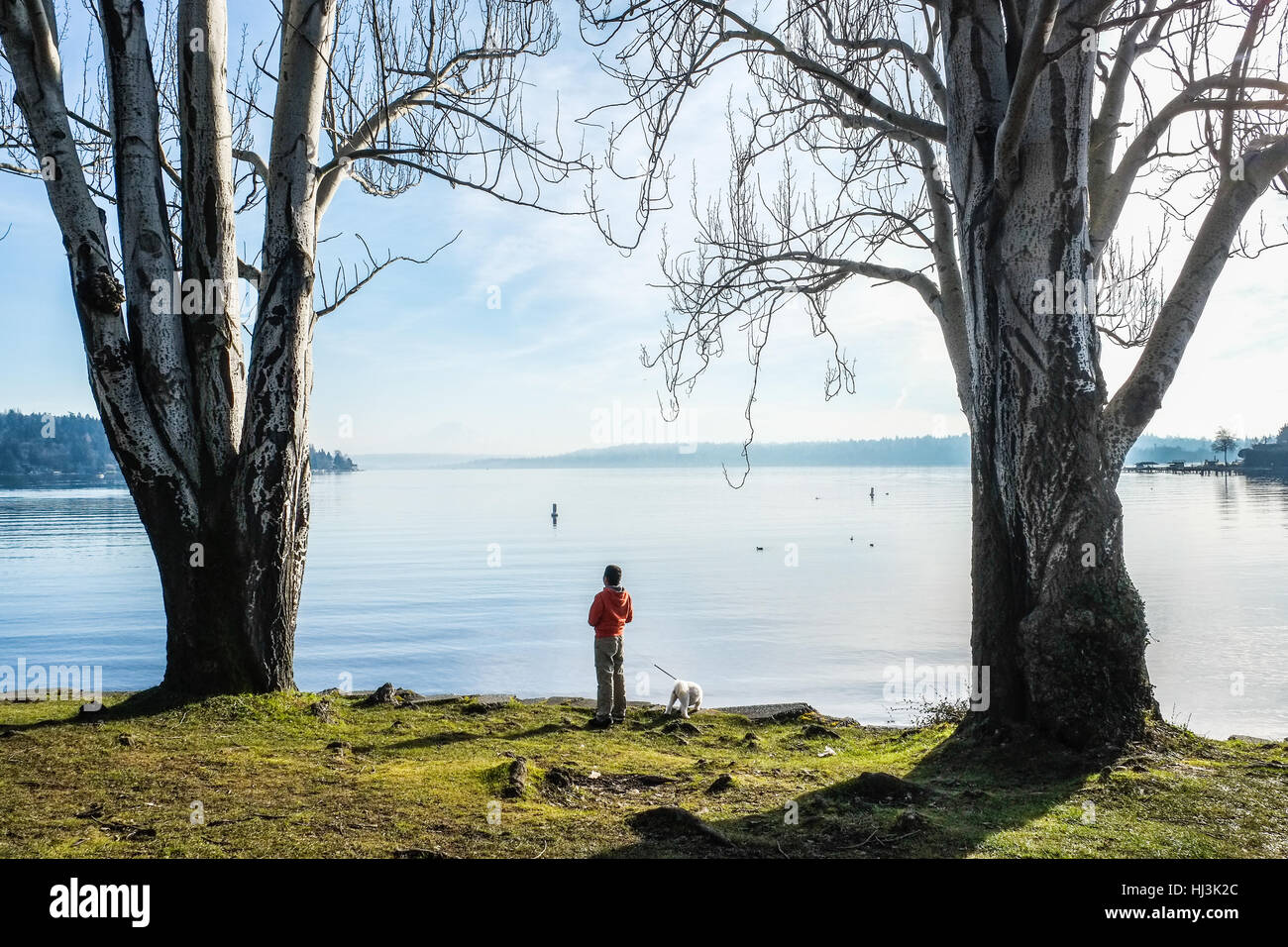 Seattle lake washington walk hi-res stock photography and images - Alamy