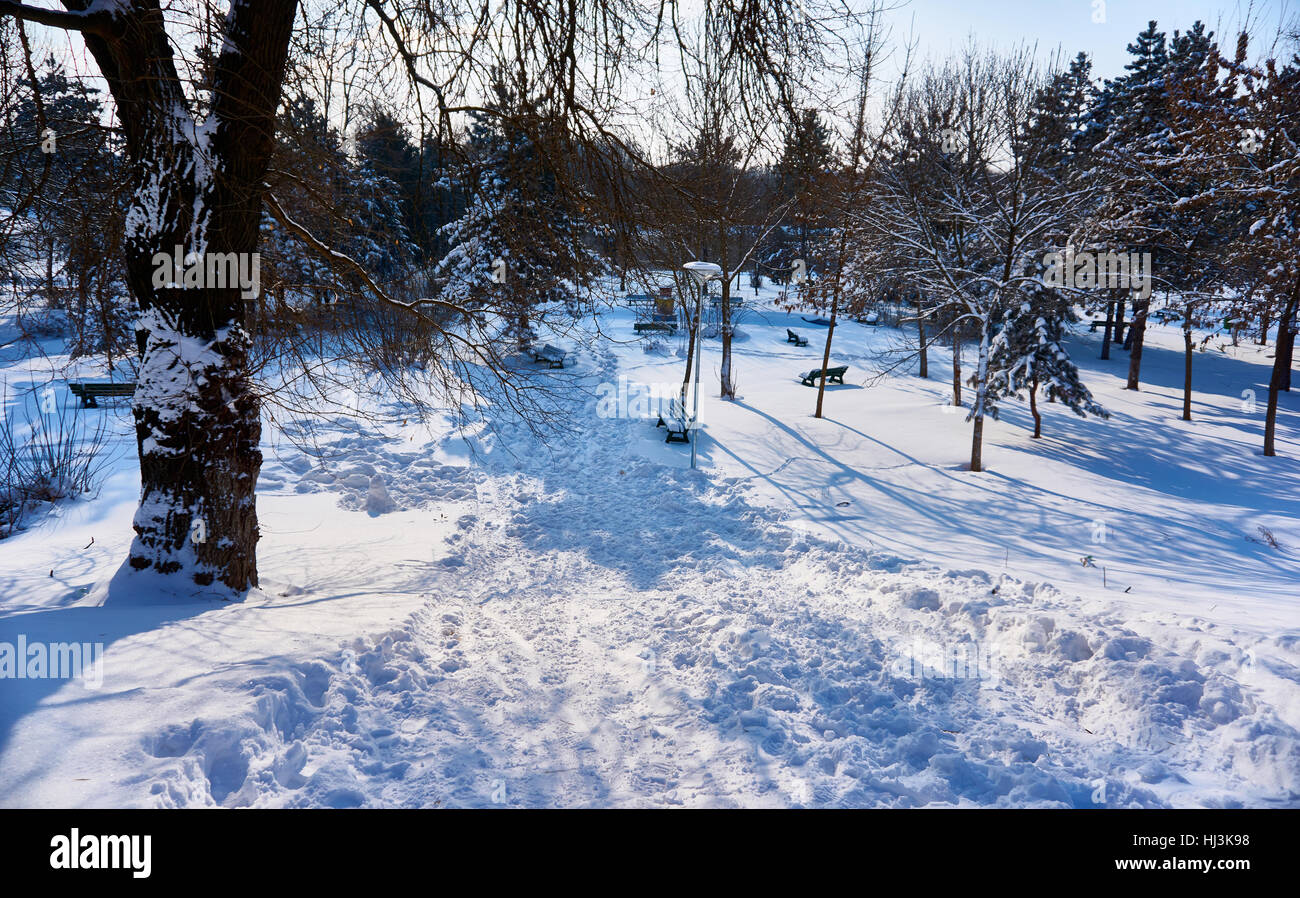 Winter scenes with happy kids and amazing pure nature beauty of snow ...
