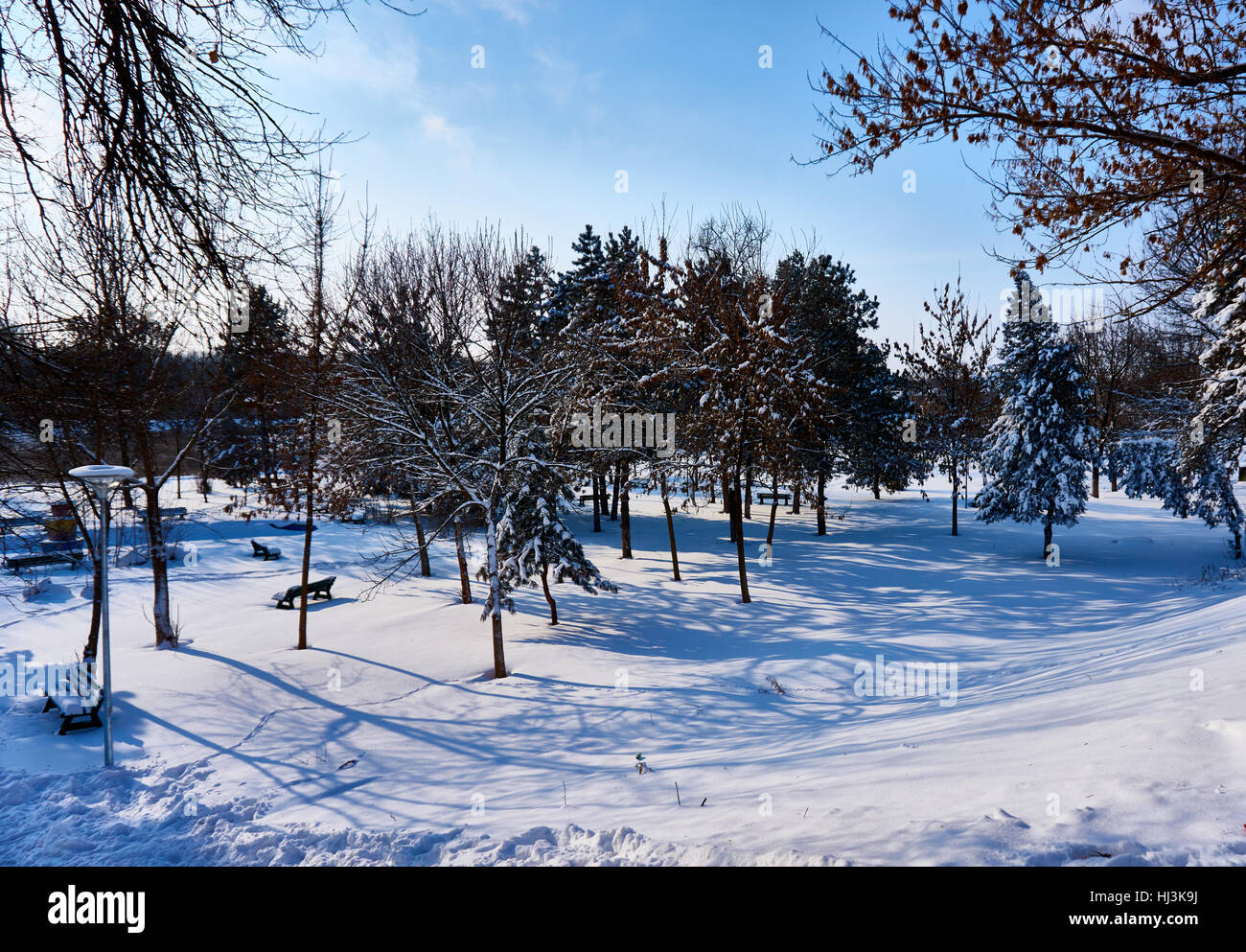 Winter scenes with happy kids and amazing pure nature beauty of snow ...