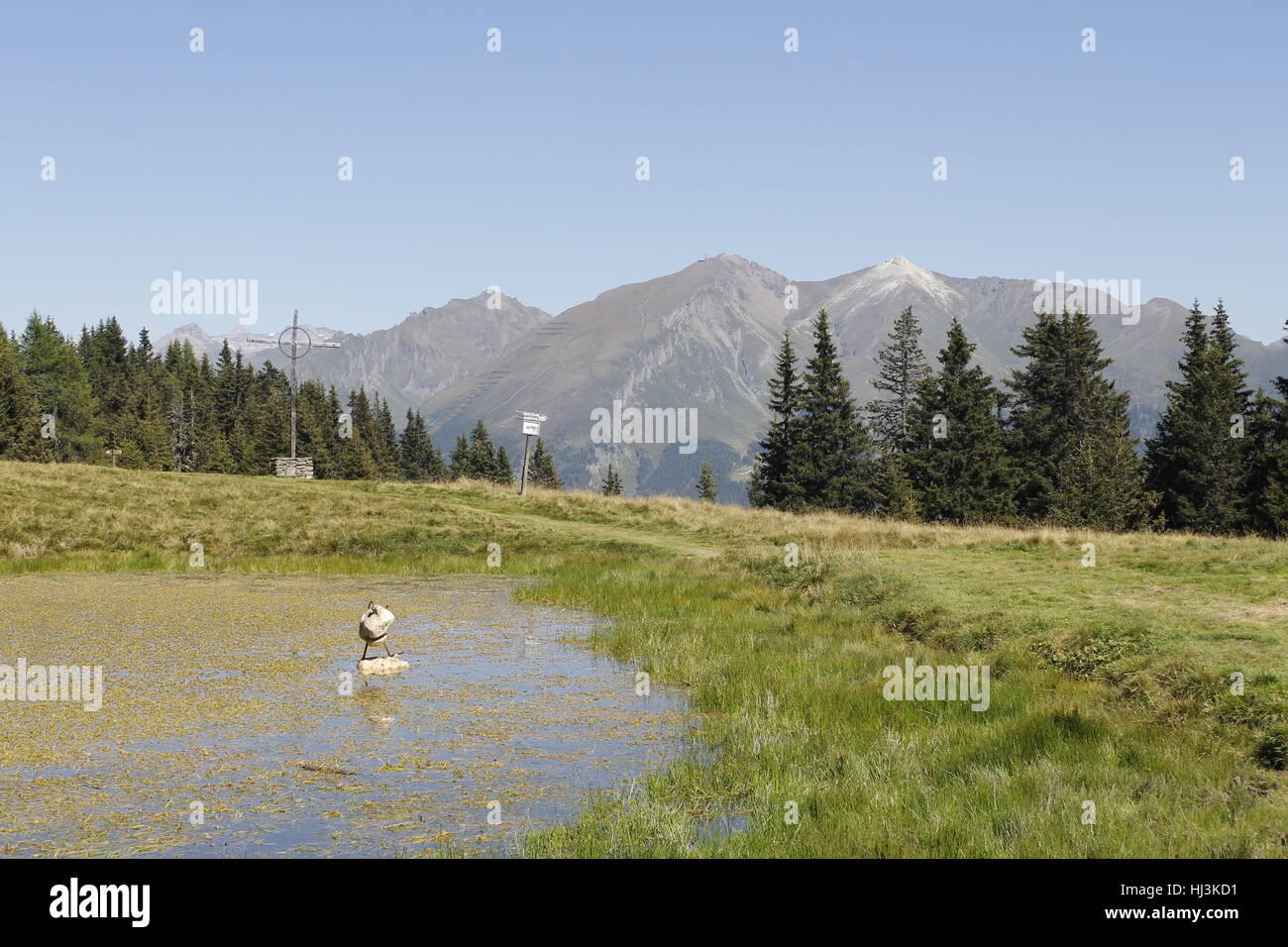 Alps in italy hi-res stock photography and images - Alamy