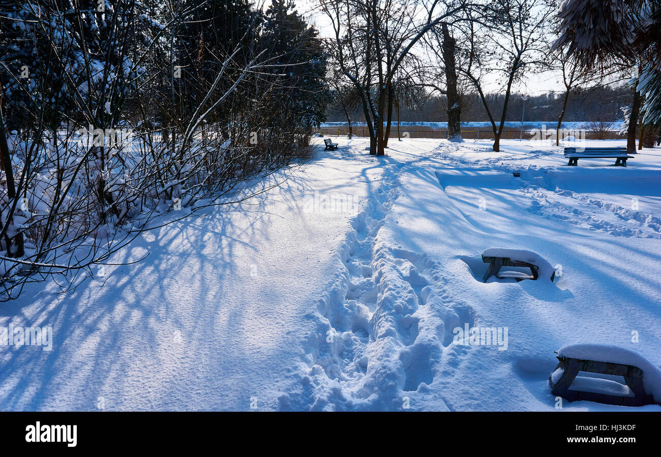 Winter scenes with happy kids and amazing pure nature beauty of snow ...