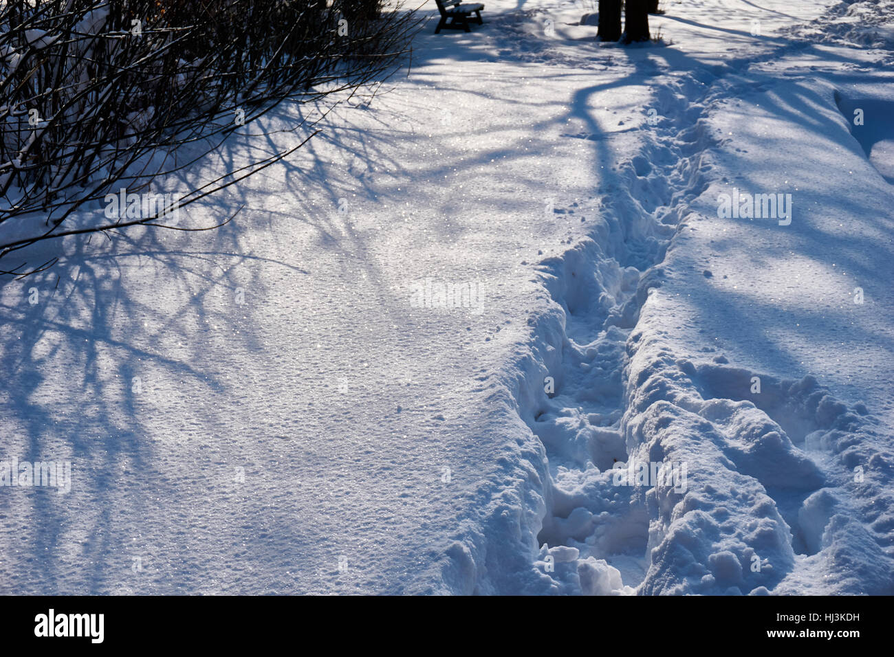 Winter scenes with happy kids and amazing pure nature beauty of snow ...