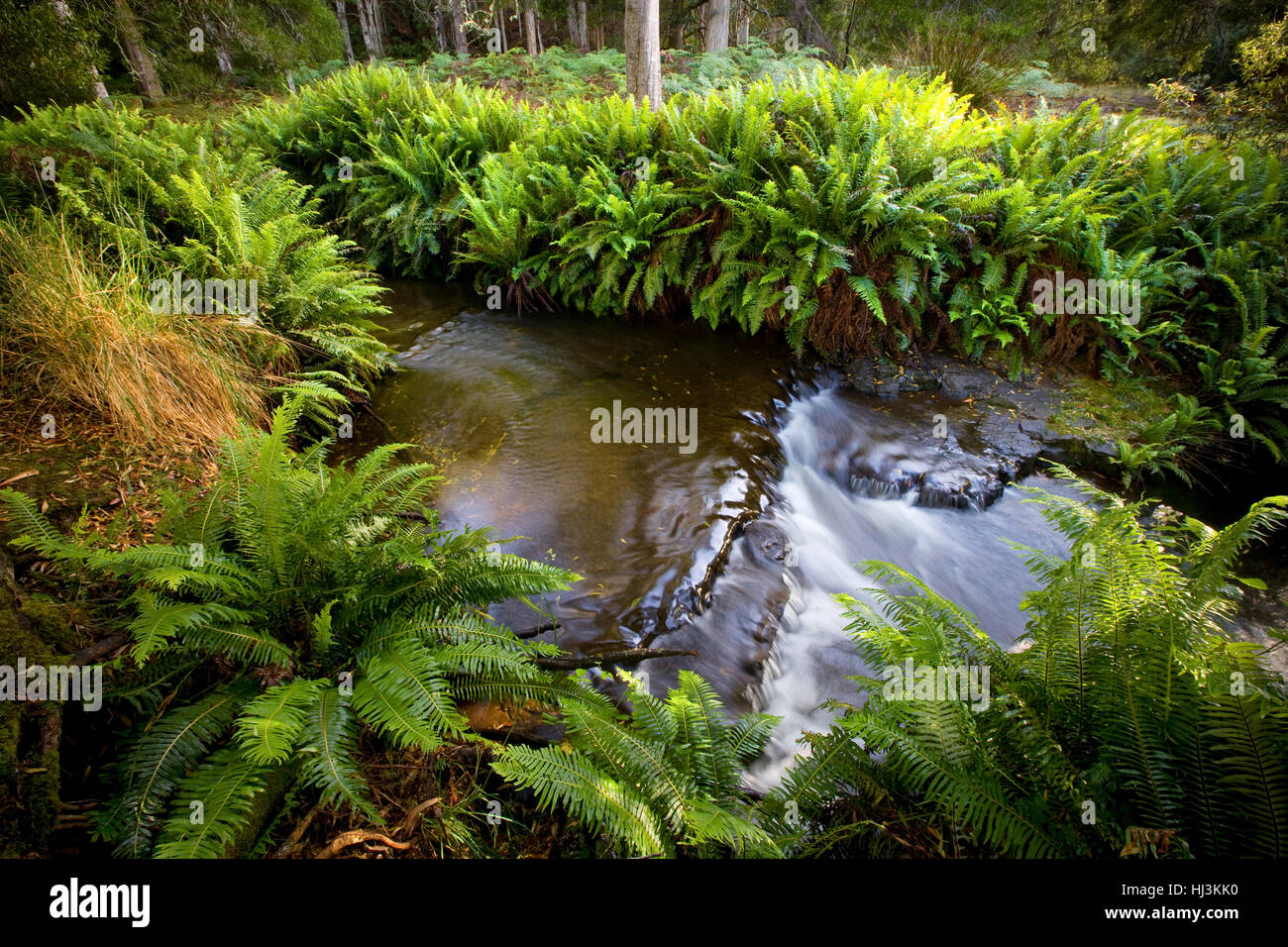 High country tasmania australia hi-res stock photography and images - Alamy