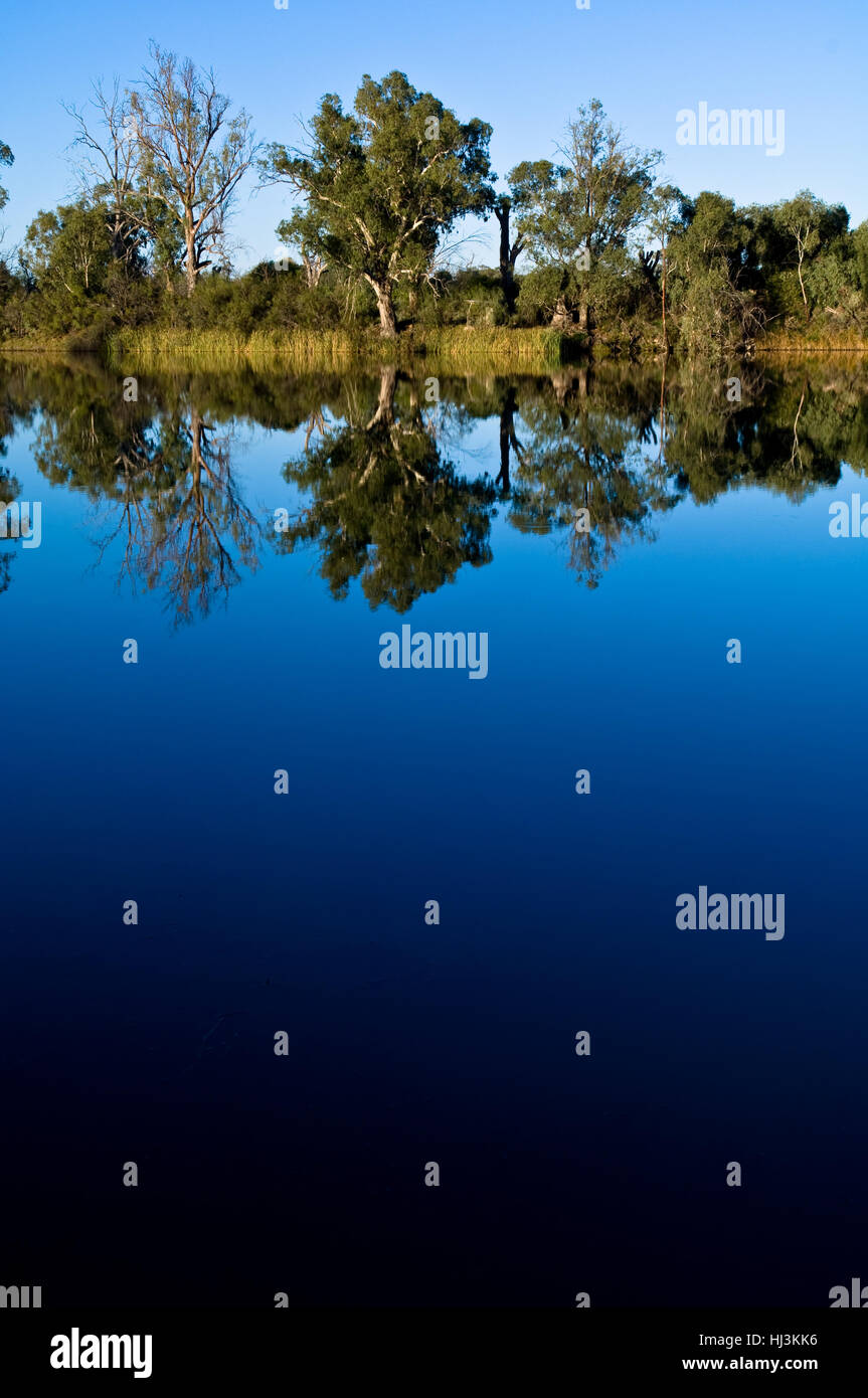 Murray River landscape Stock Photo - Alamy