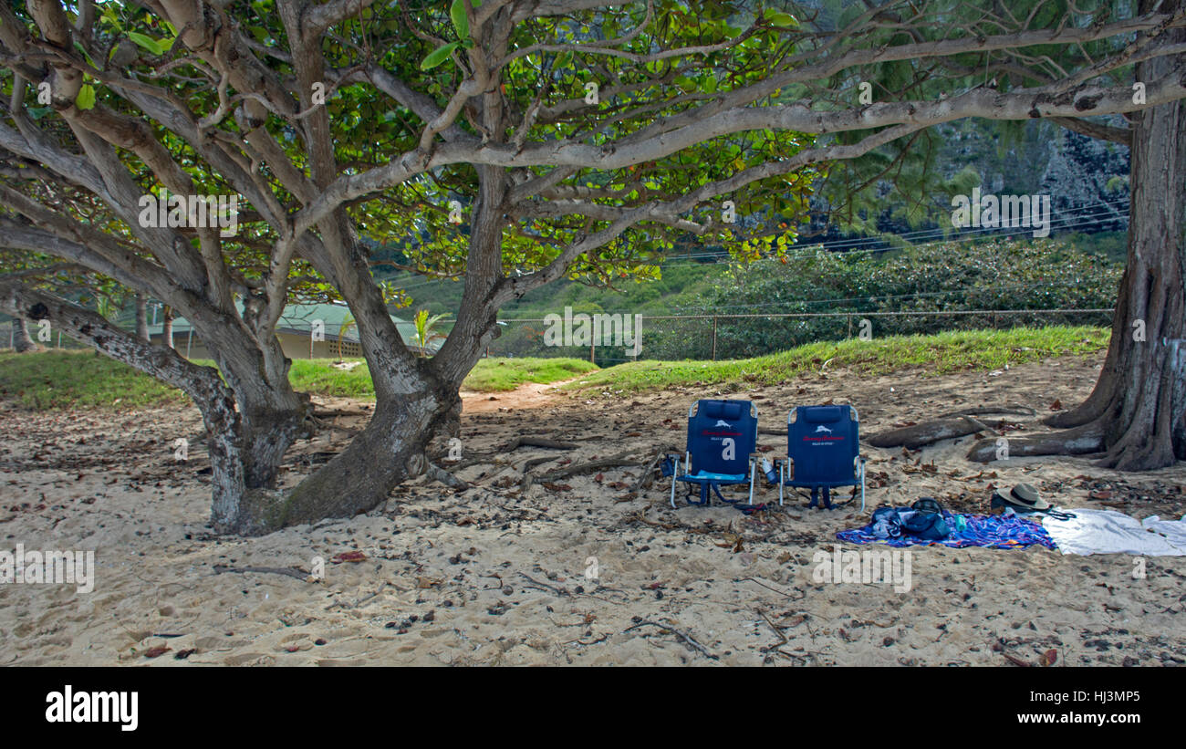 Chairs under a tree hi-res stock photography and images - Alamy