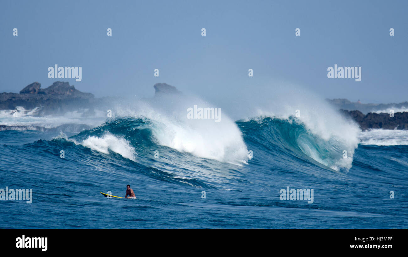 Hawaii connection hi-res stock photography and images - Alamy