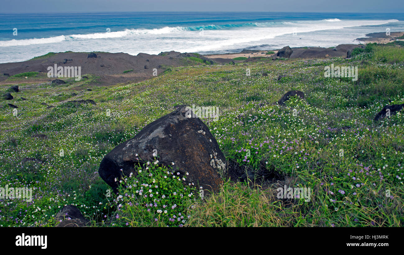 Kaena Point trail, North Shore, Oahu, Hawaii, USA Stock Photo - Alamy