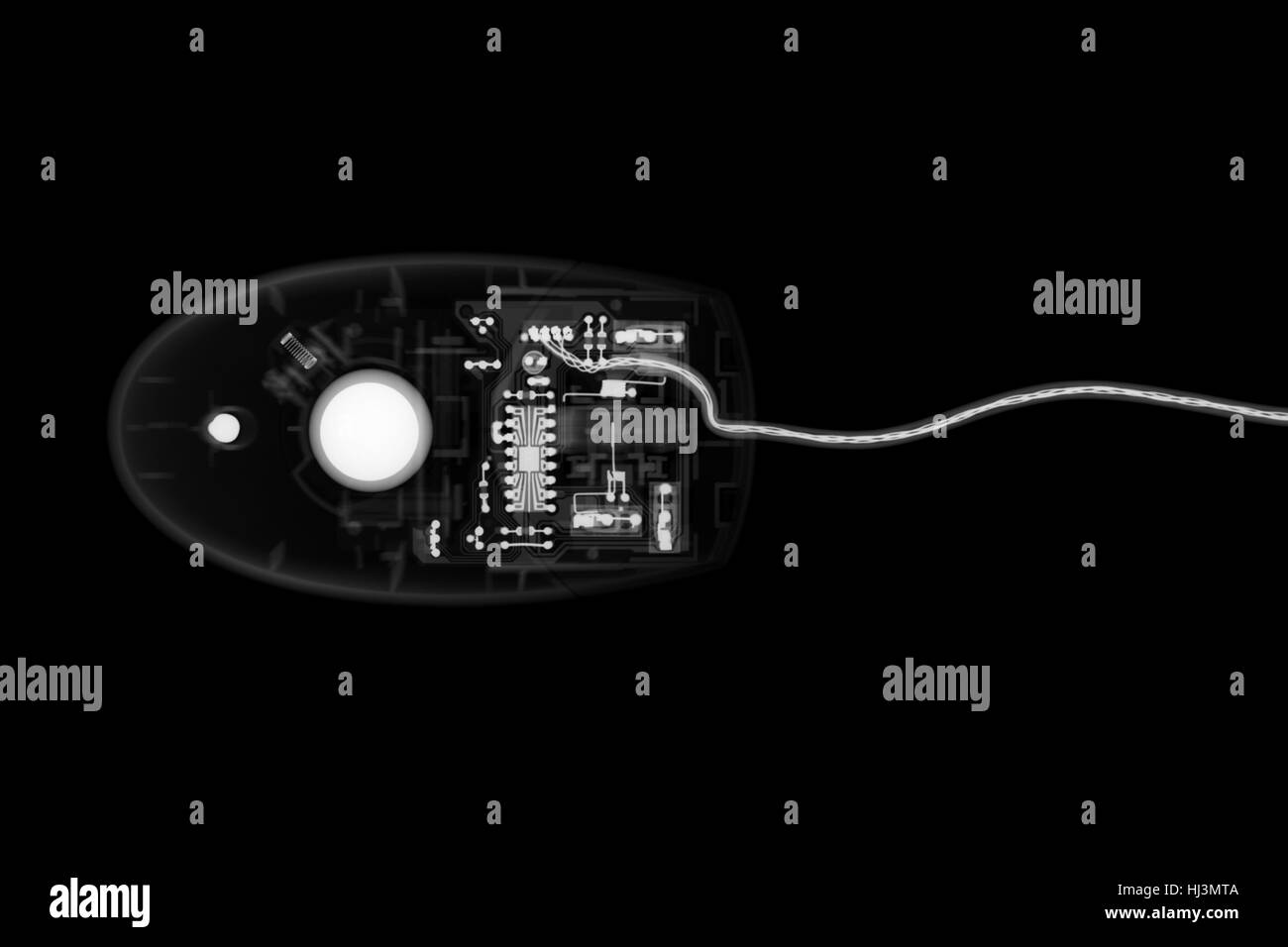 Xray computer mouse hi-res stock photography and images - Alamy