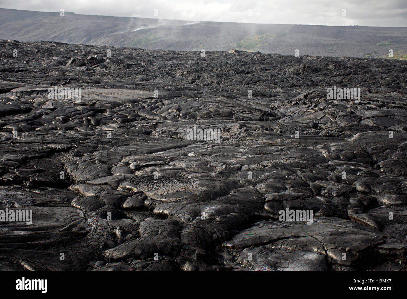 Lava field around the Volcanoes National Park, Kalapana, Hawaii, USA ...