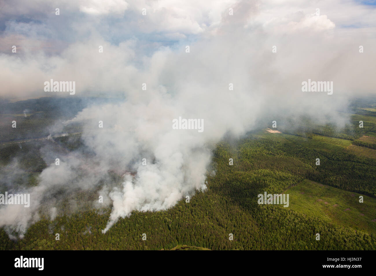 Wildfire in forest, top view Stock Photo - Alamy