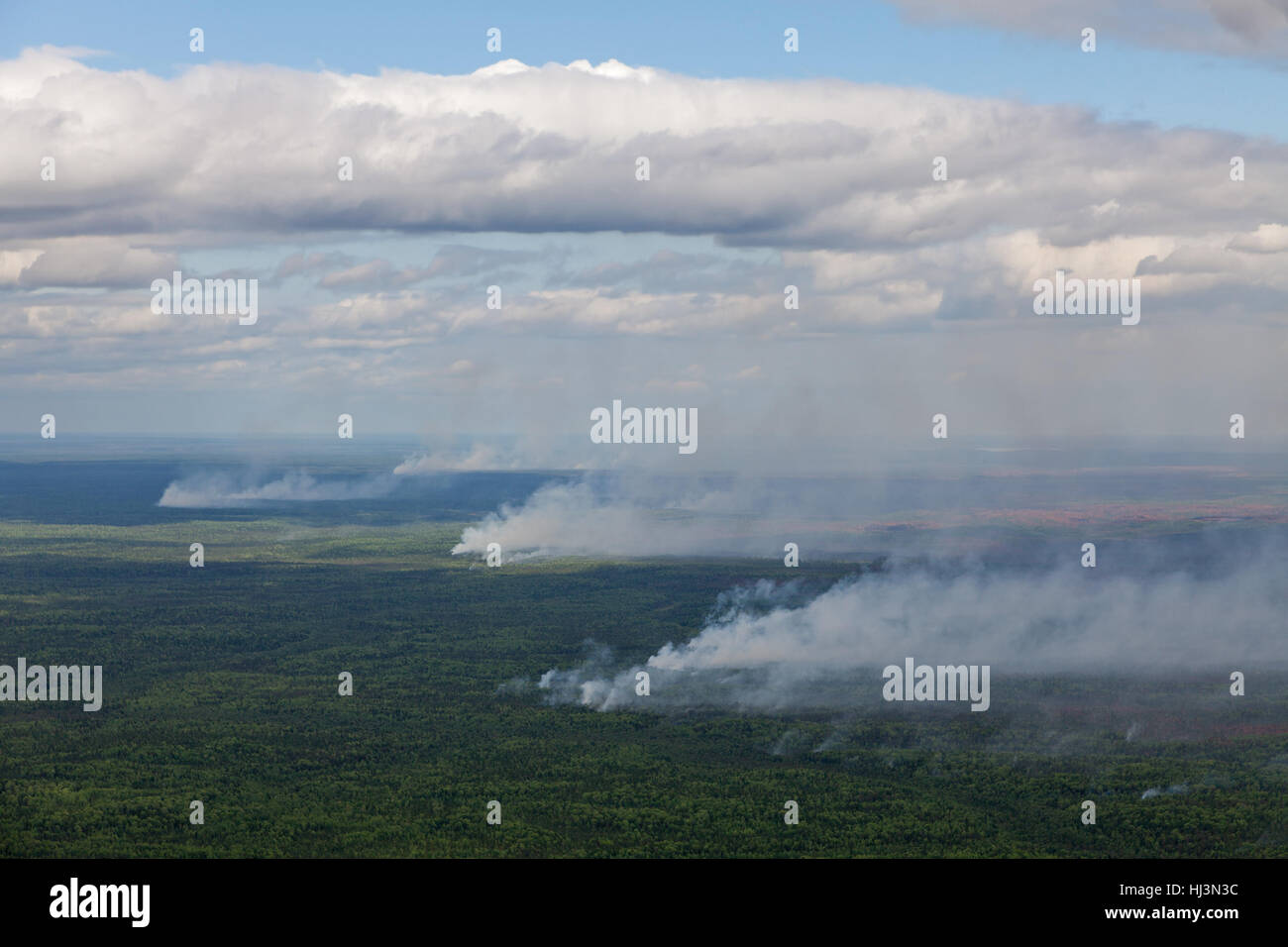 Wildfire in forest, top view Stock Photo - Alamy