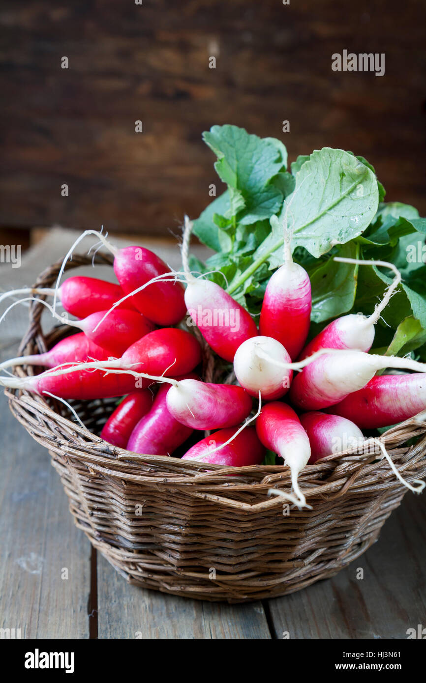 Bunches of fresh radishes in a wicker basket on a dark wooden table ...
