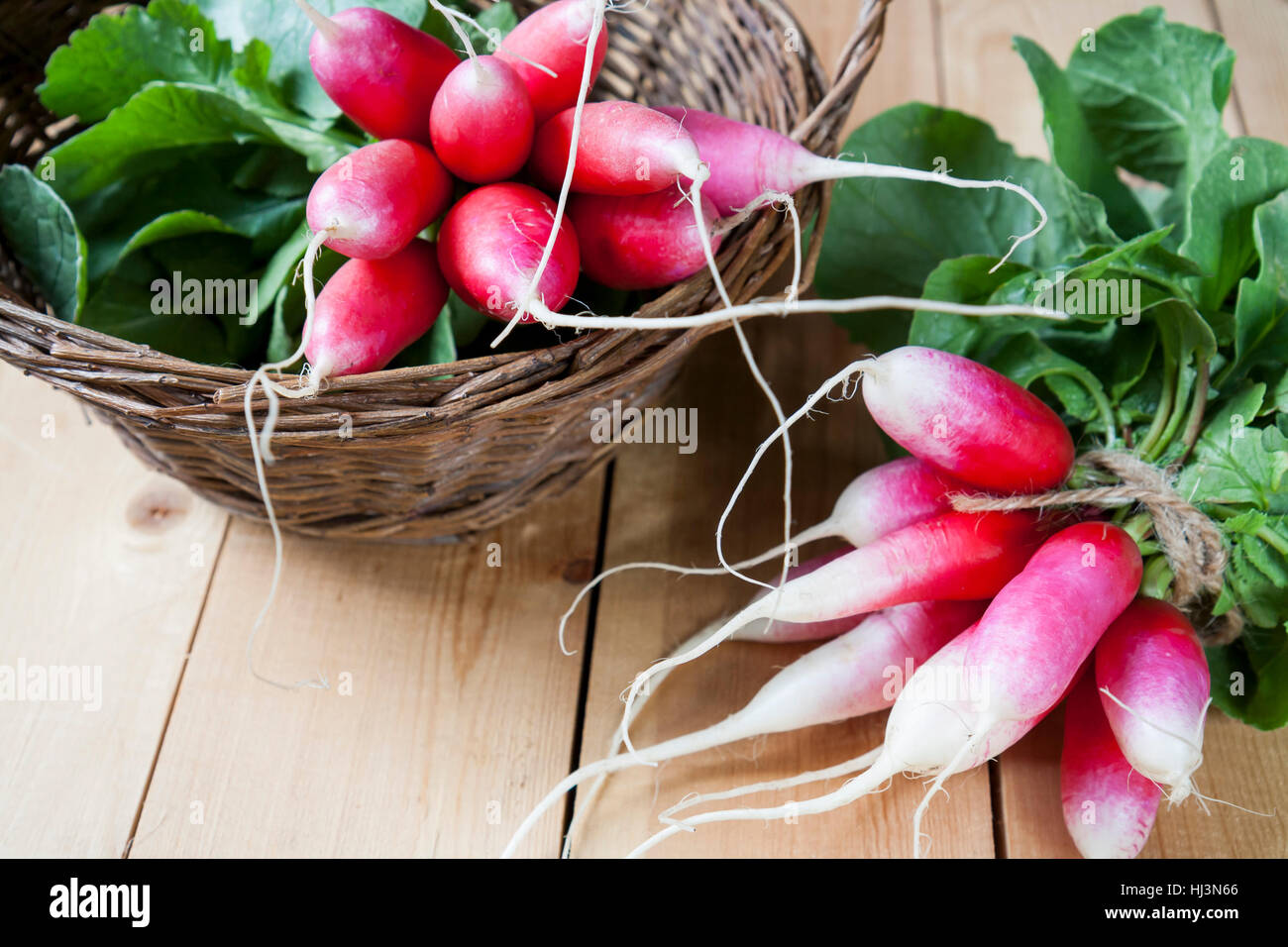 Bunches of fresh radishes in a wicker basket on a wooden table, close ...
