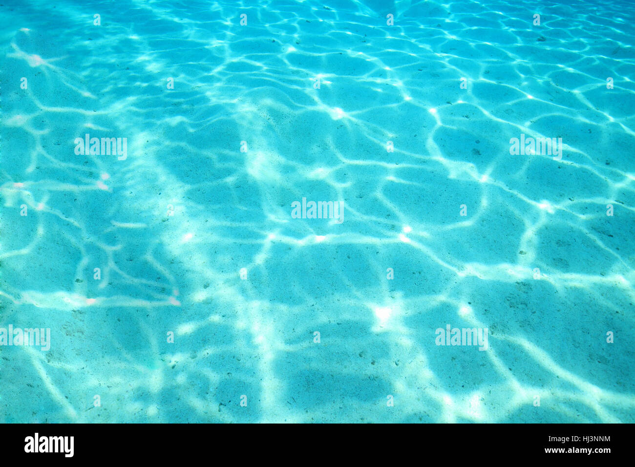 Underwater shallow sandy ocean floor hi-res stock photography and ...