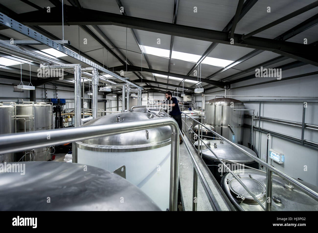Beer brewing production at various stages from grain to bottle Stock ...