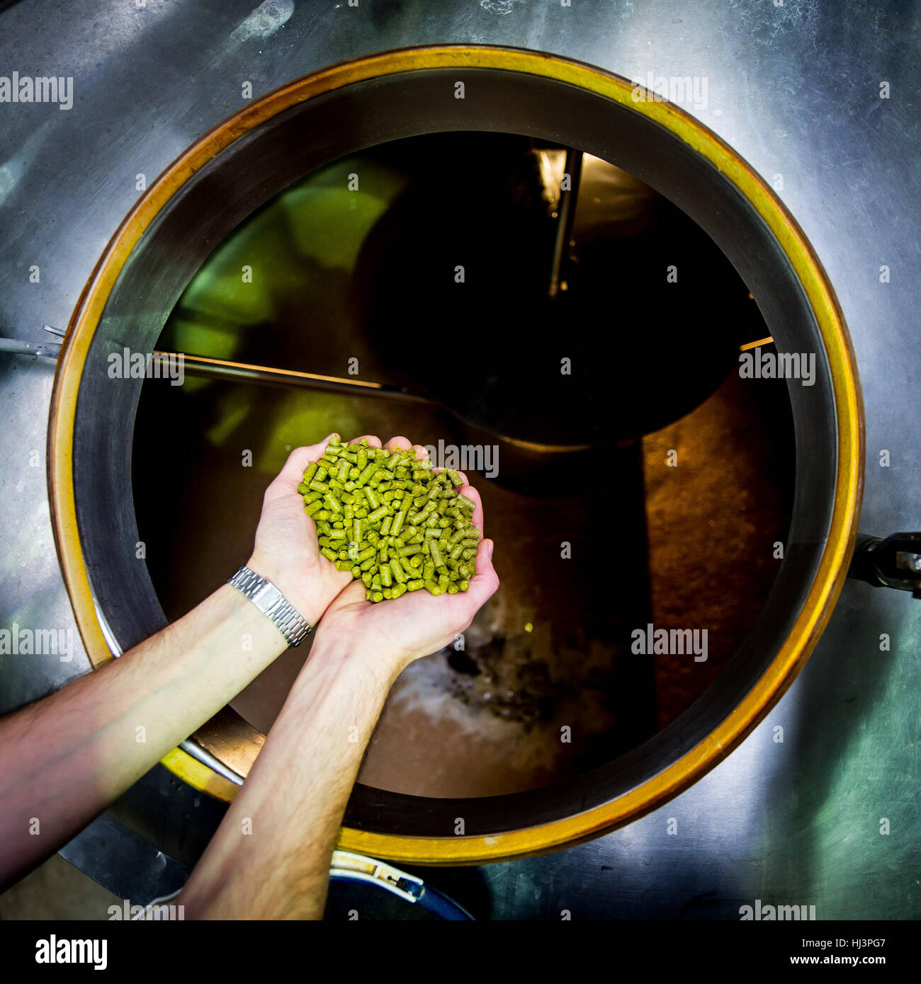 Beer brewing production at various stages from grain to bottle Stock ...