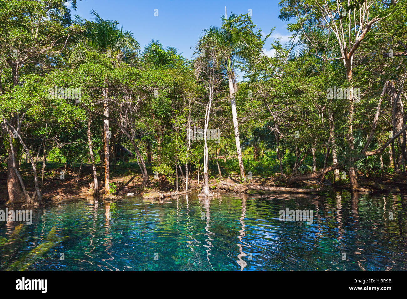 Small still lake in tropical forest, natural landscape of Dominican ...