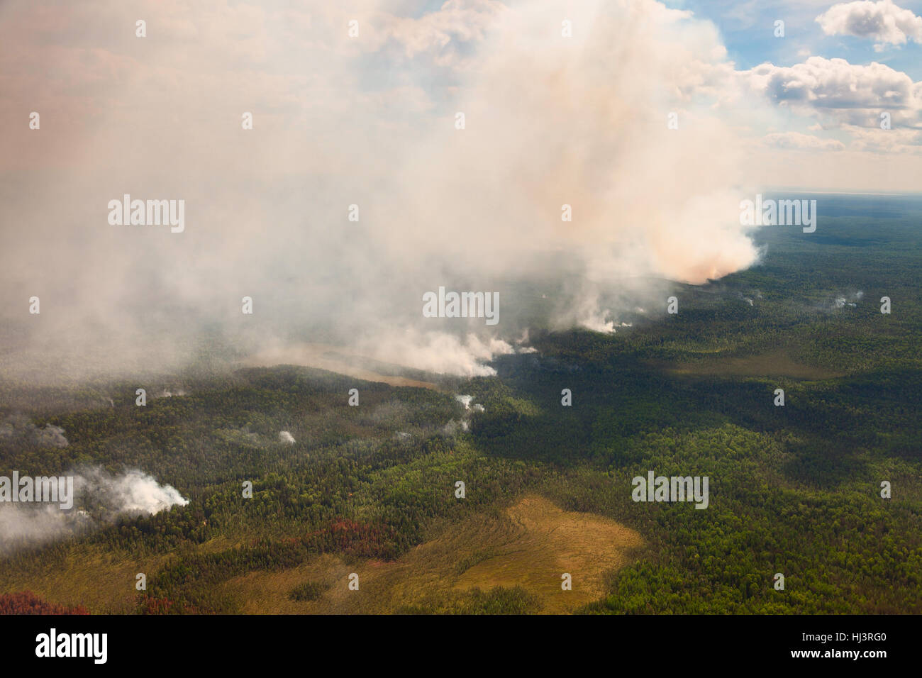 Wildfire in forest, top view Stock Photo - Alamy
