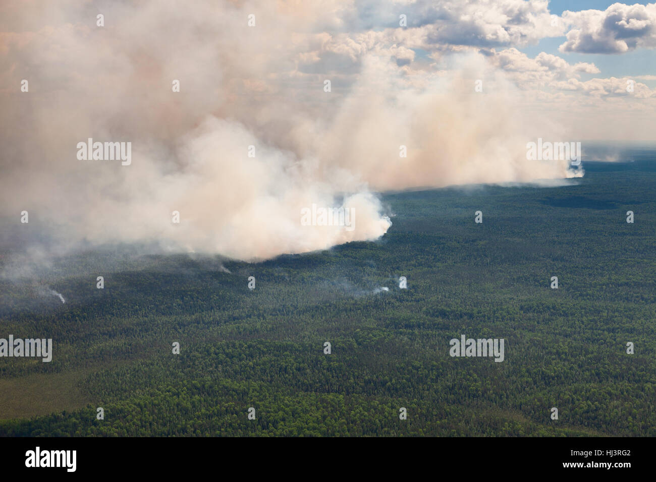 Wildfire in forest, top view Stock Photo - Alamy