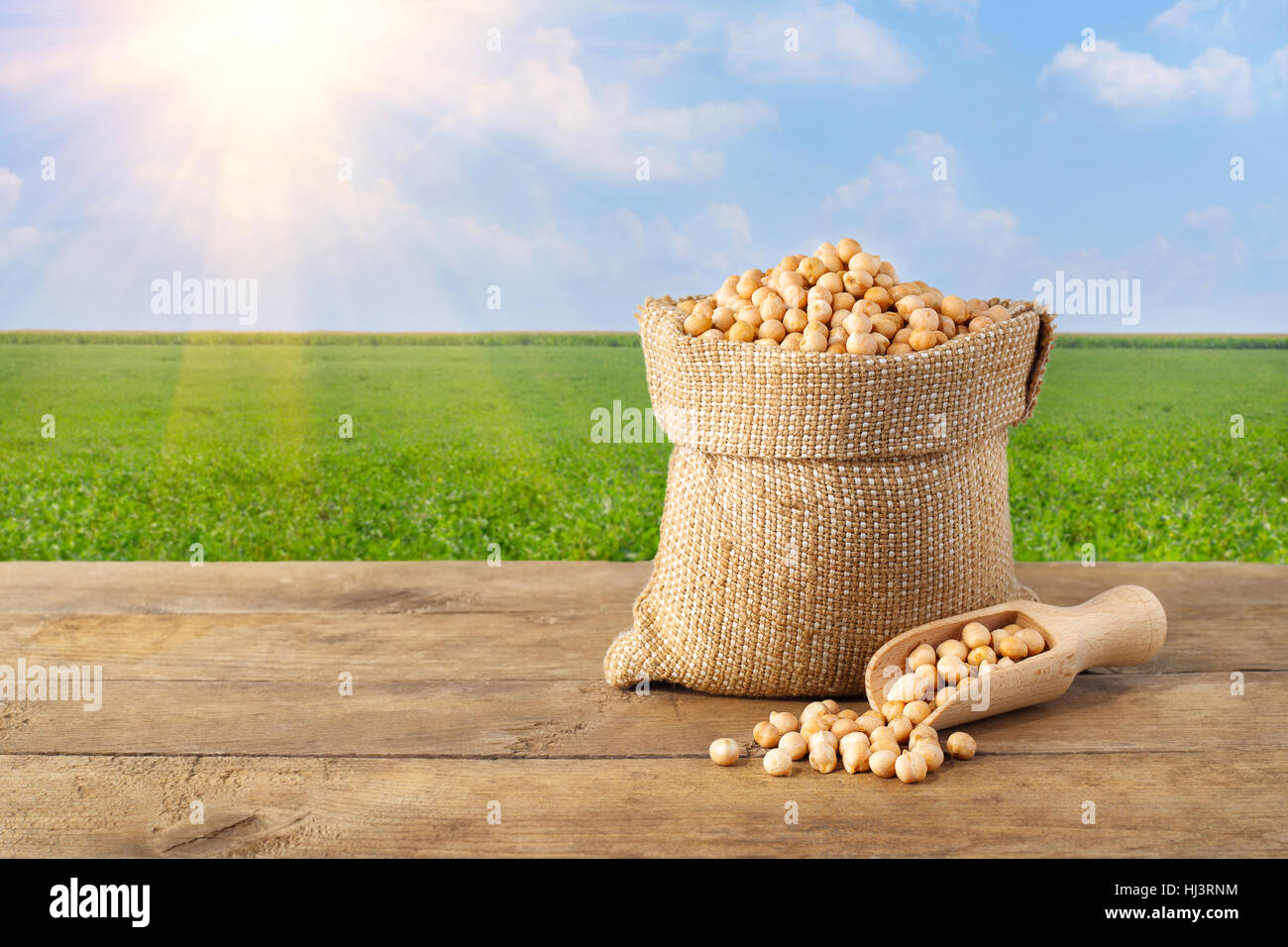Chickpea plant hi-res stock photography and images - Alamy