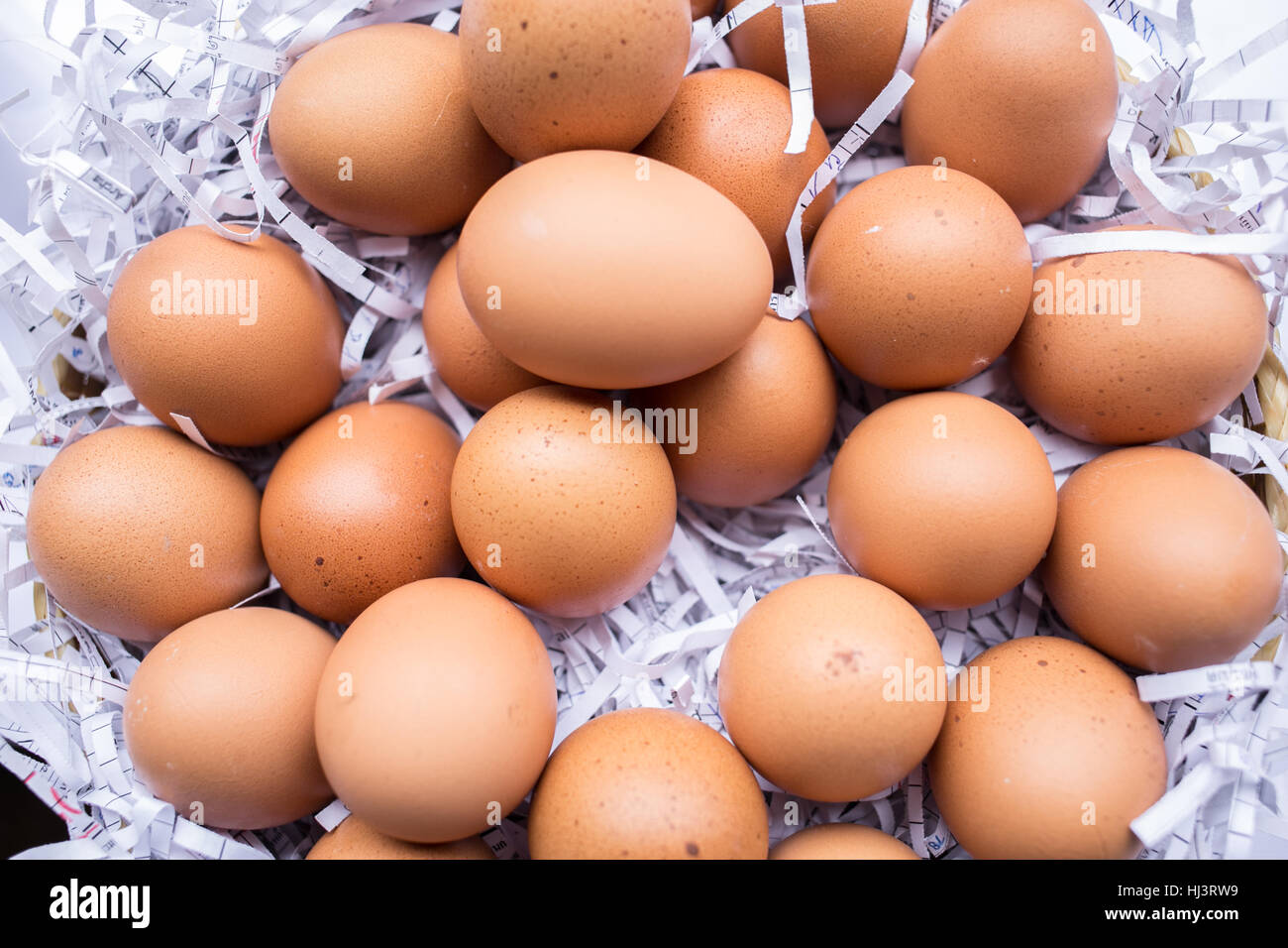 Beautiful Egg, Closeup Chicken Egg Stock Photo - Alamy
