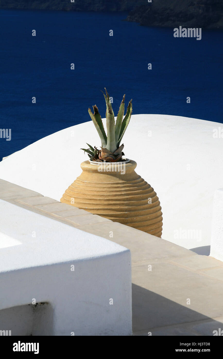 Greek pot plant hi-res stock photography and images - Alamy