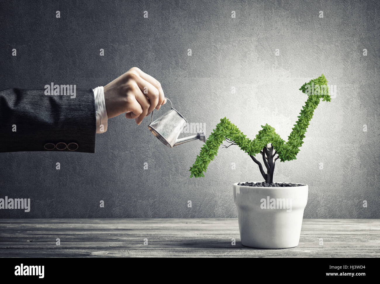 Concept of investment income and growth with tree in pot Stock Photo ...