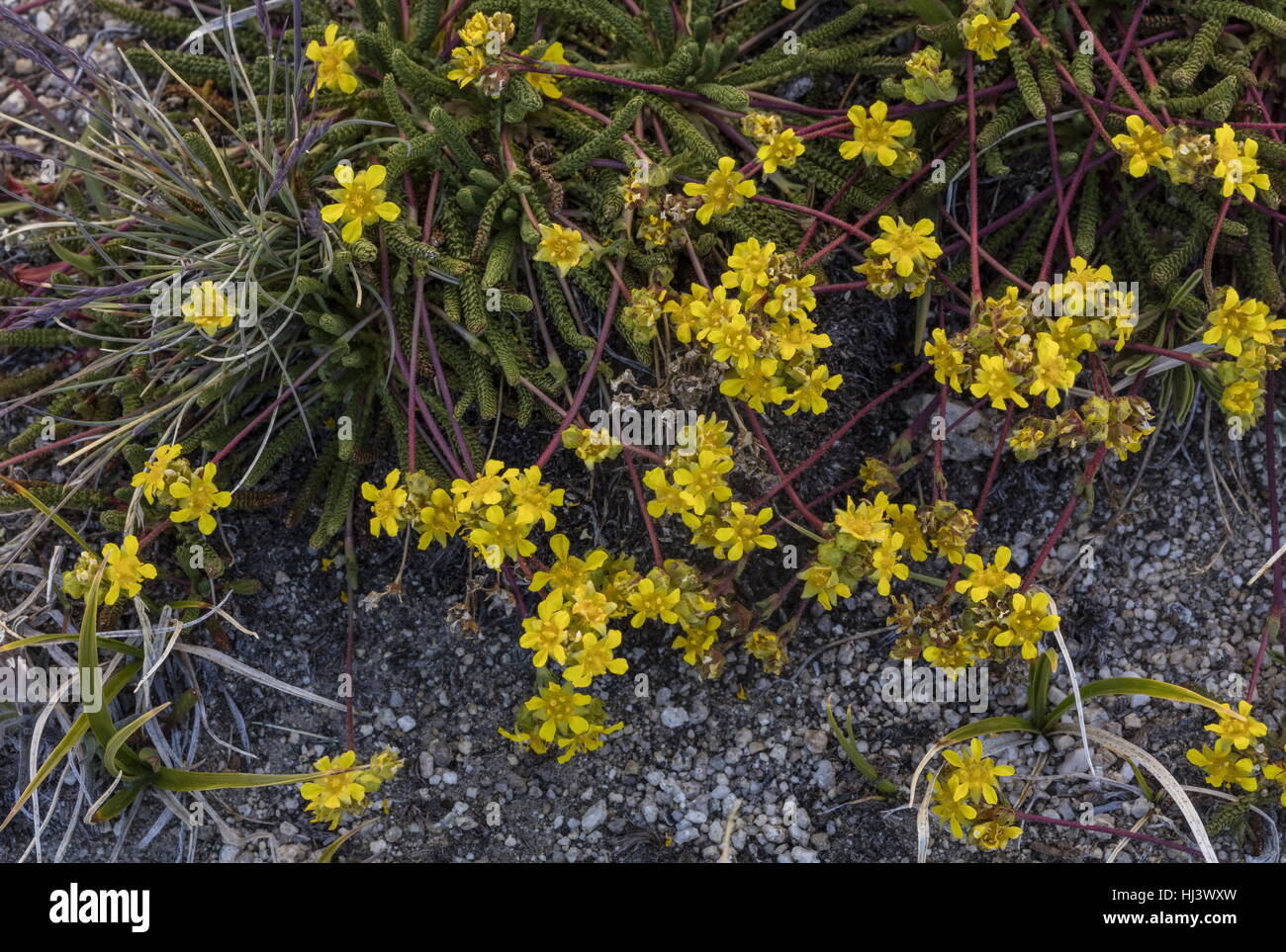High fell hi-res stock photography and images - Alamy