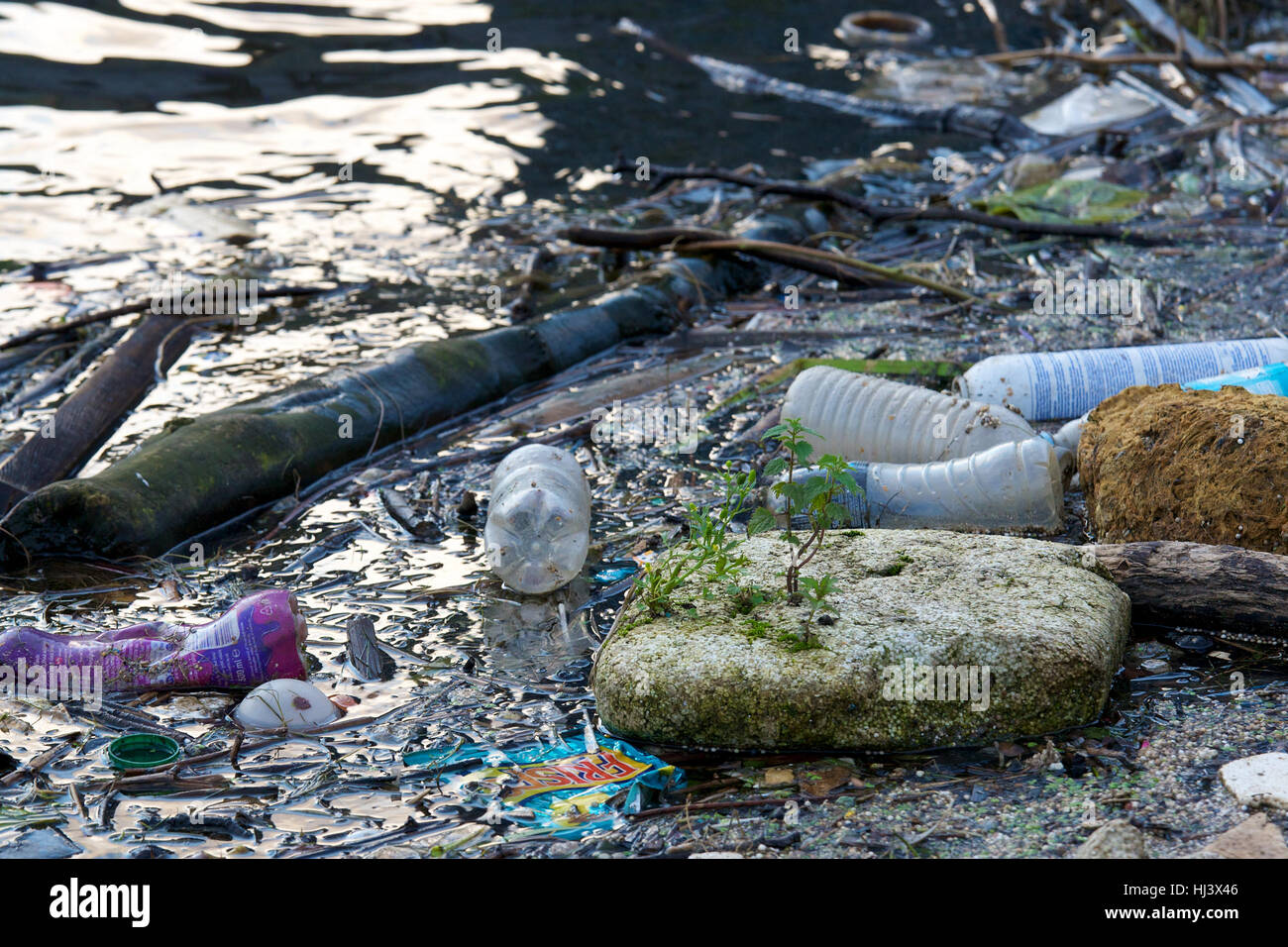 Rubbish and pollution in water at Salford Quays Stock Photo - Alamy
