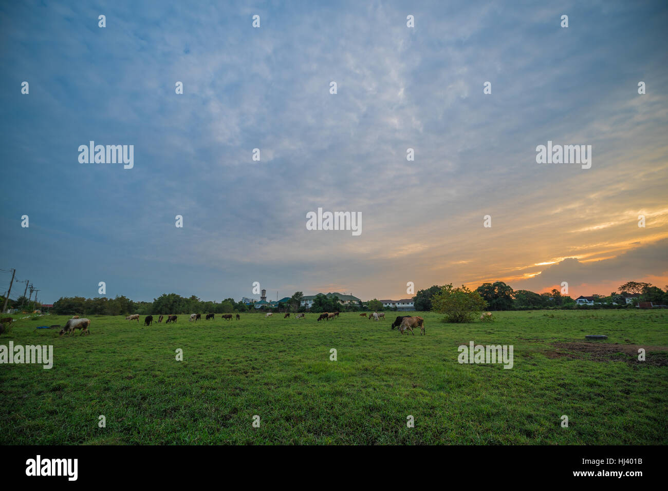 Sunset over Idyllic Farmland Landscape Stock Photo - Alamy