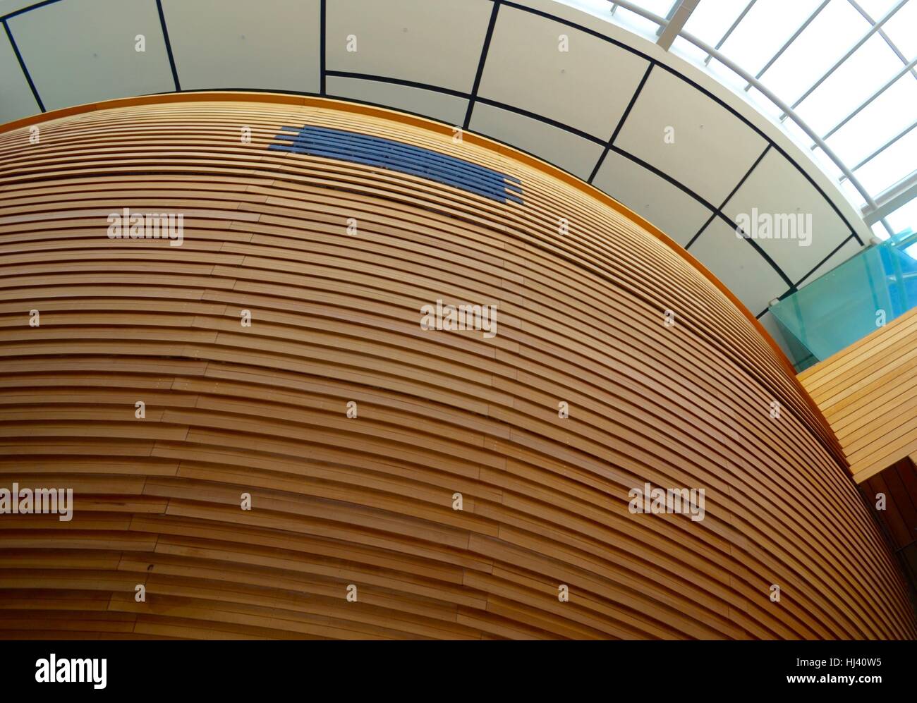 Looking up at architectural curved wooden slat wall with skylights ...