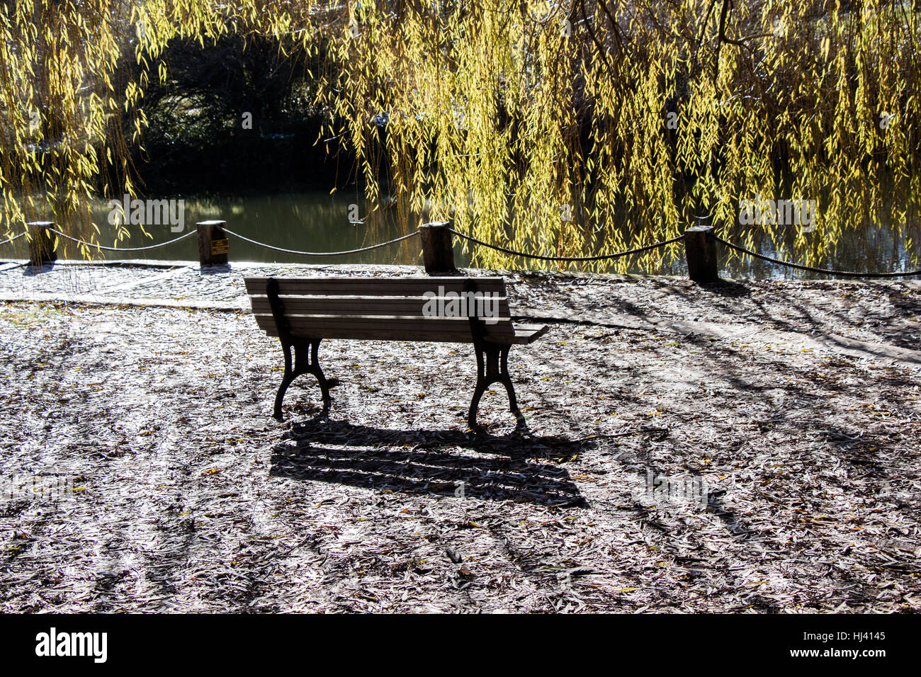 Wooden park bench at a park Stock Photo - Alamy