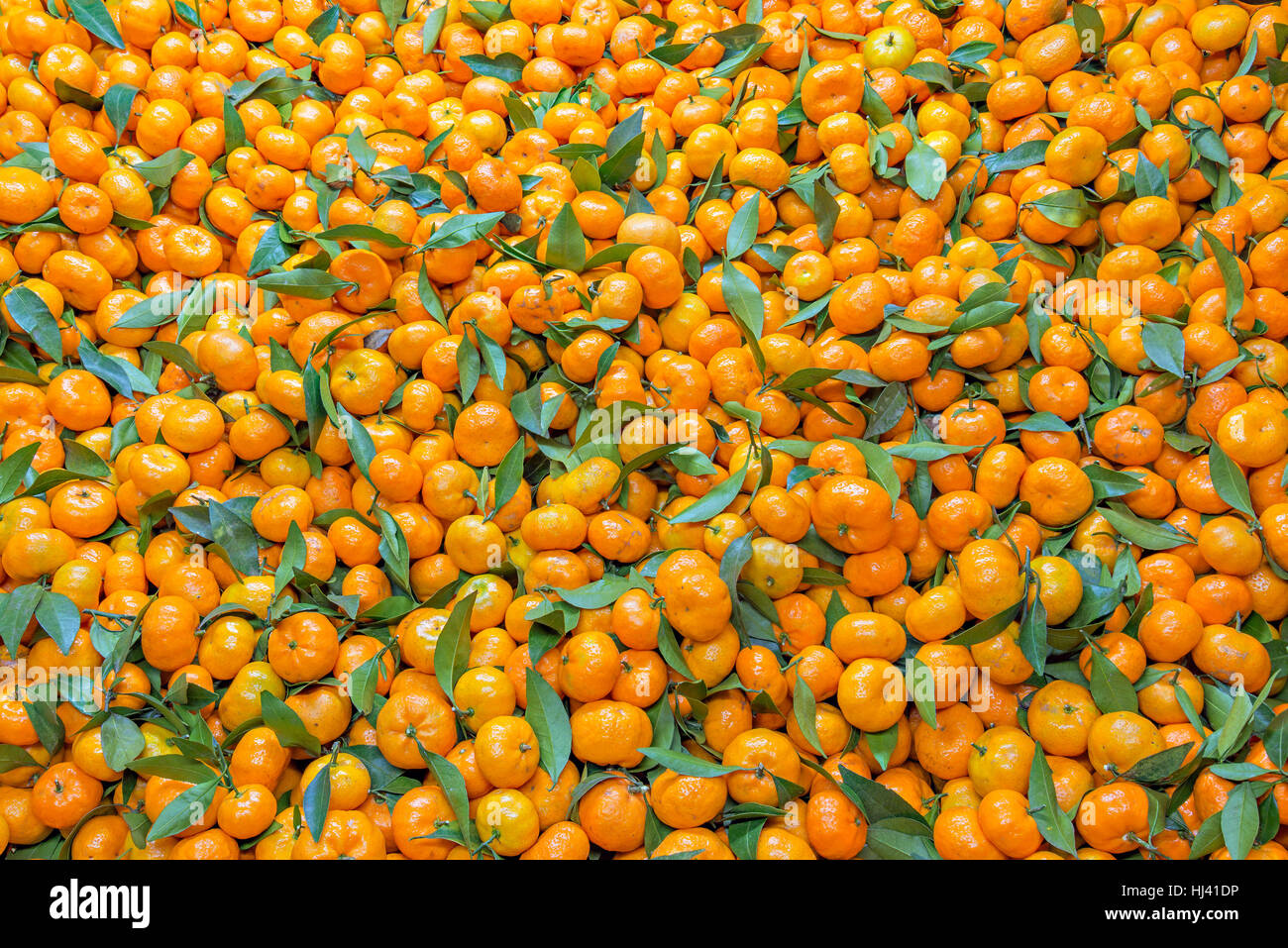 Fresh mandarin orange background in the fruit market Stock Photo - Alamy