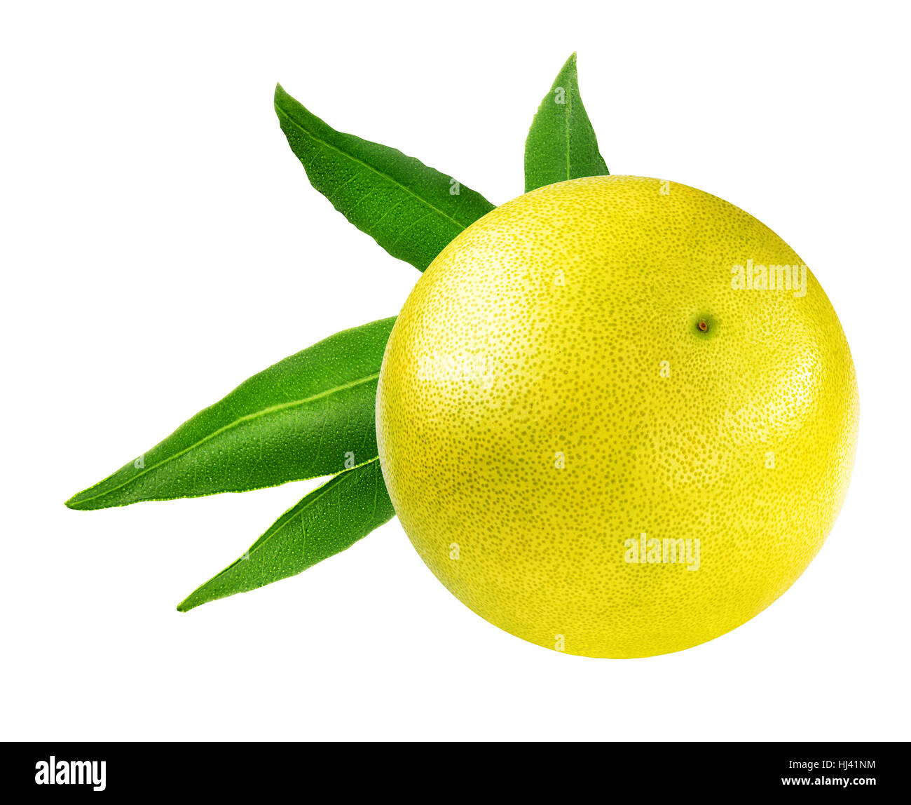 Pamela green hi-res stock photography and images - Alamy