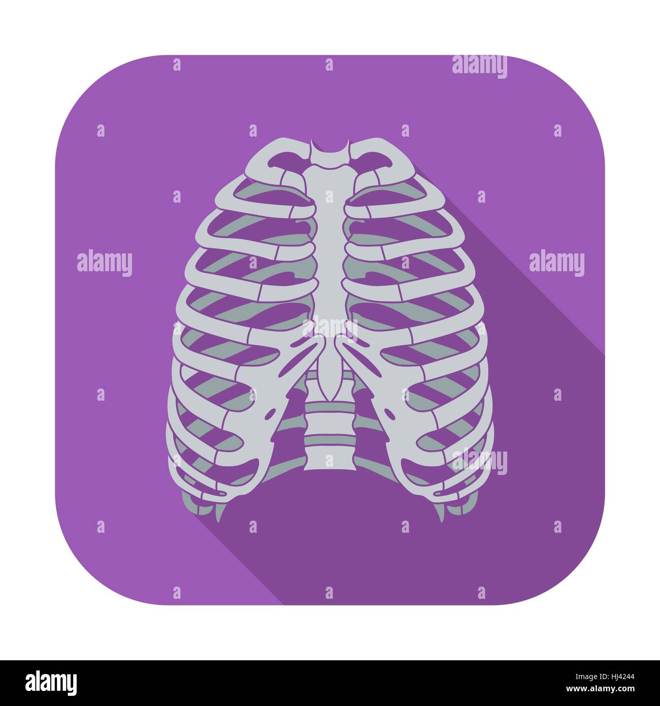 Human thorax icon flat Cut Out Stock Images & Pictures - Alamy