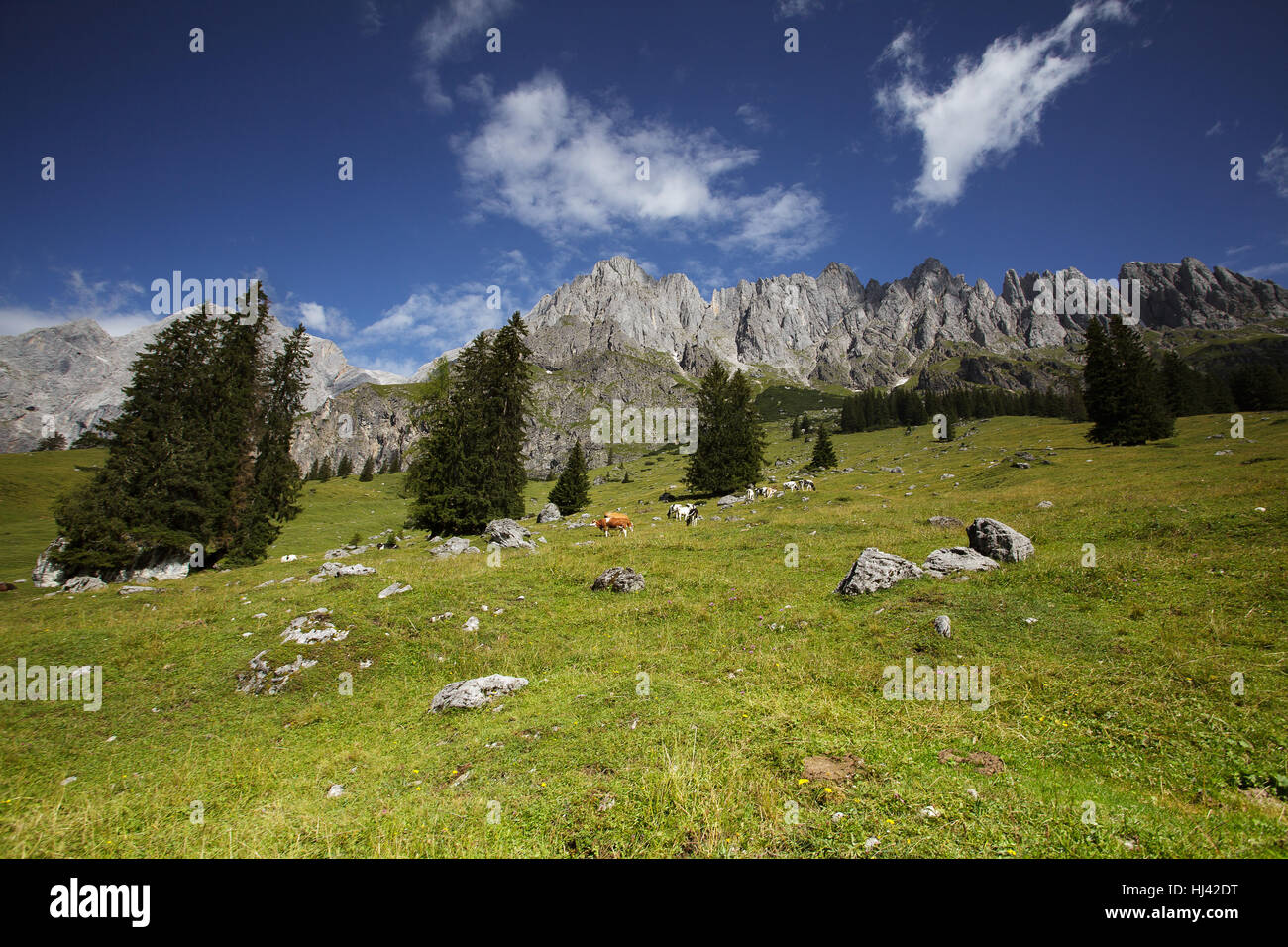 alps, massif, mountain, blue, beautiful, beauteously, nice, mountains ...