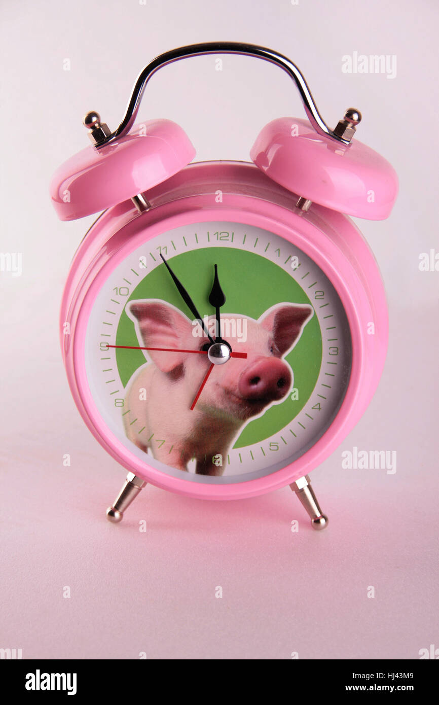 Measured late hi-res stock photography and images - Alamy