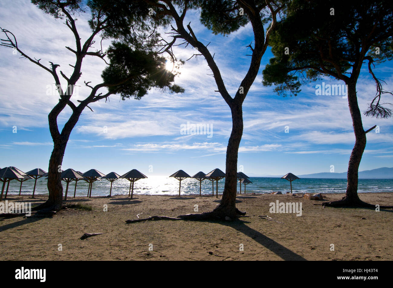 Forest beach hi-res stock photography and images - Alamy