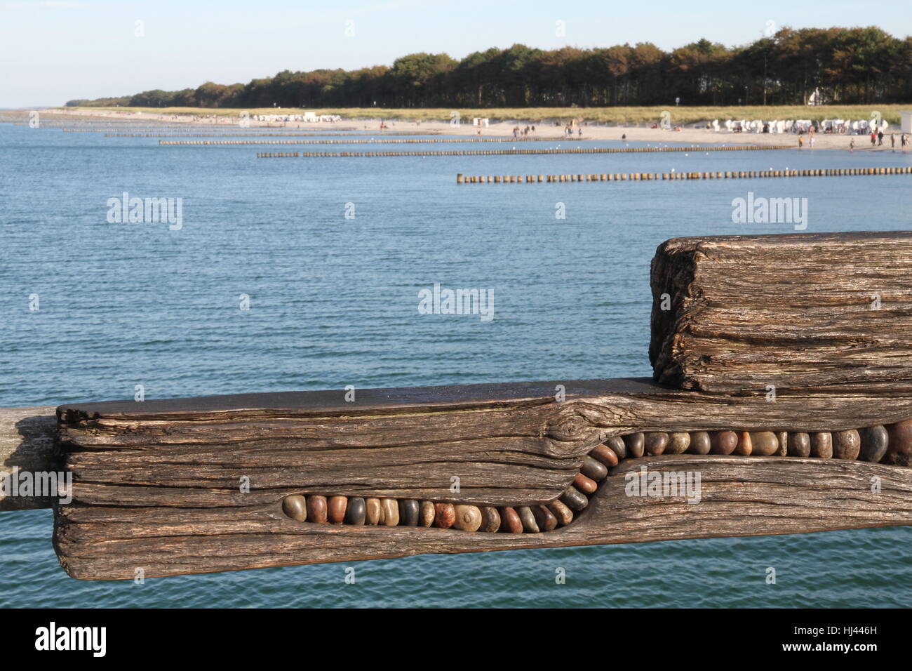 water, baltic sea, salt water, sea, ocean, coast, north, bank, shore ...